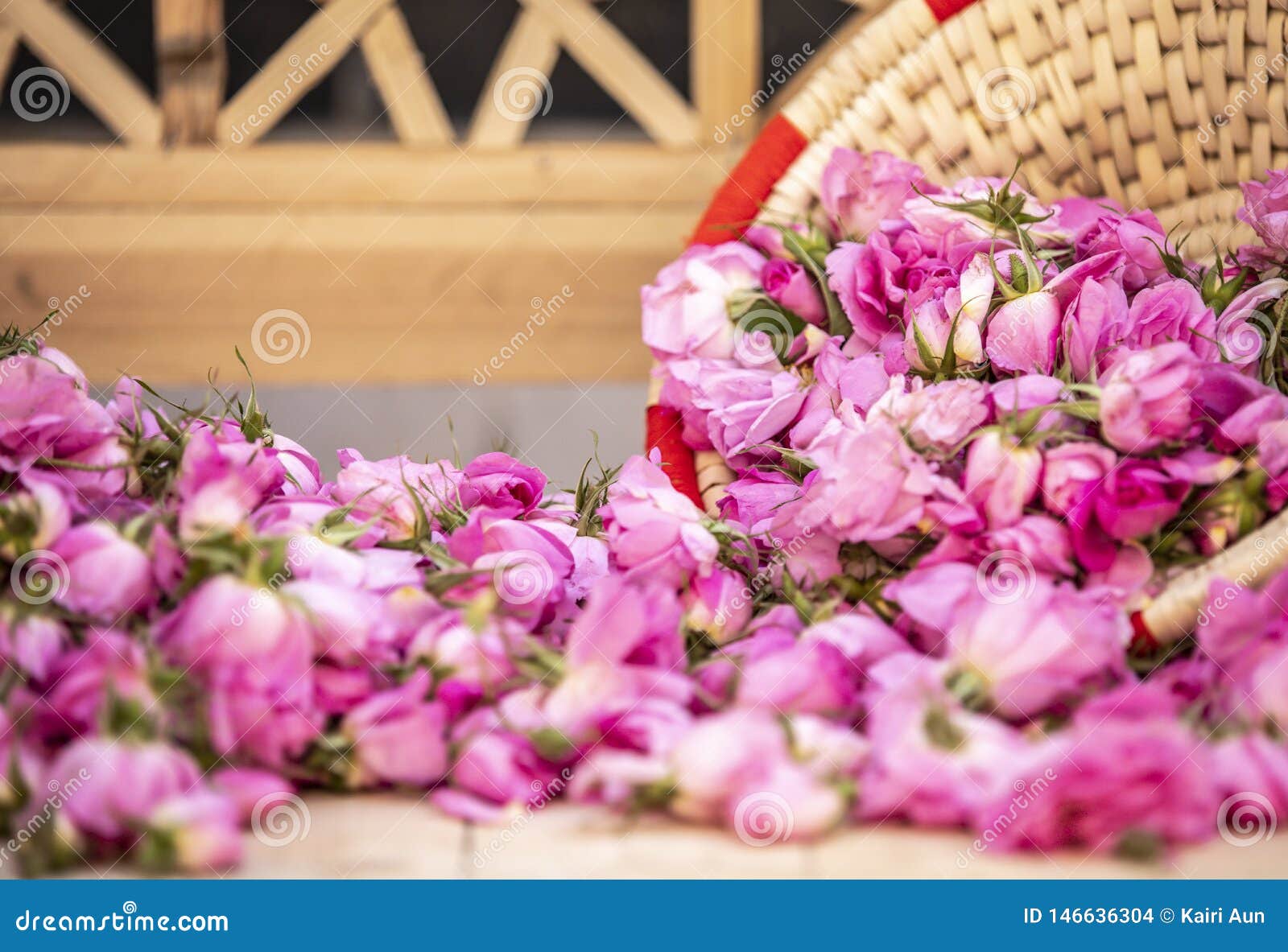 Damask Roses Falling Out of a Basket Stock Photo - Image of celebration ...