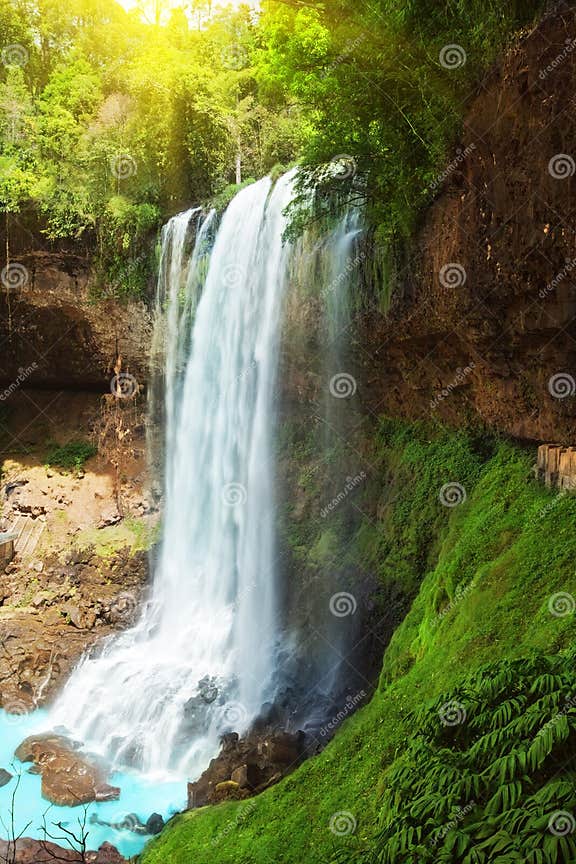 Dambri waterfall stock photo. Image of natural, jungle - 9691504