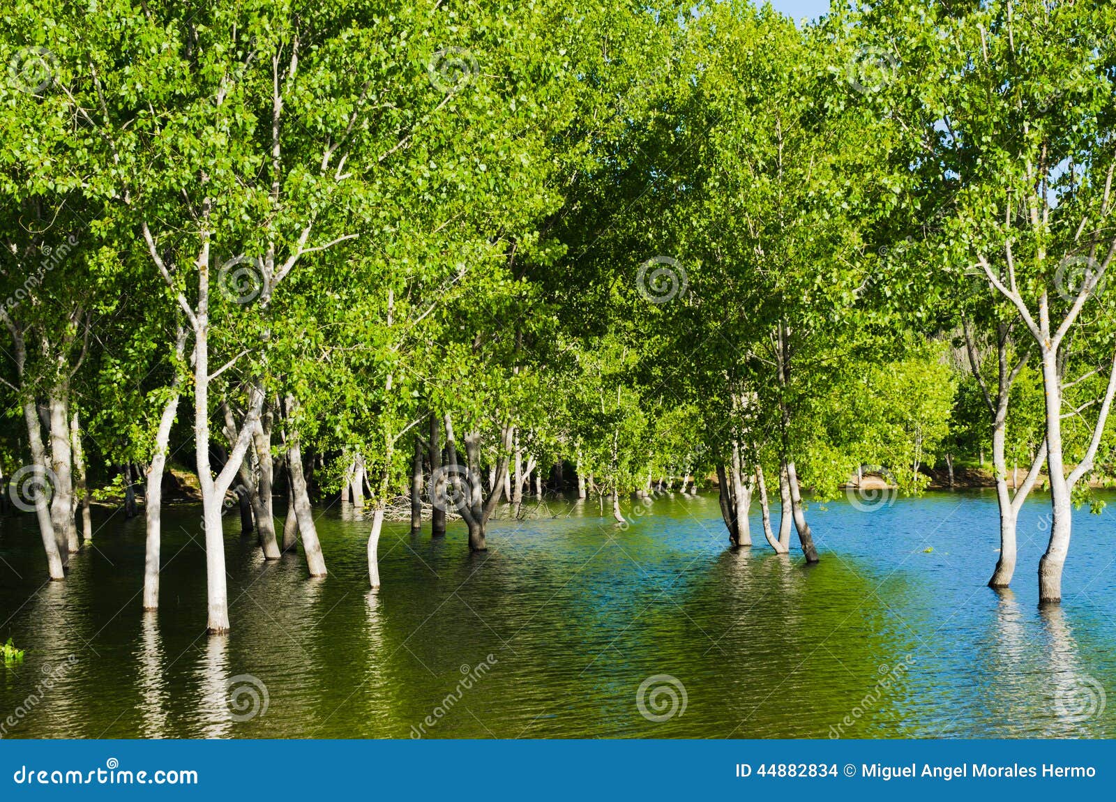 Damming stock photo. Image of scenic, spain, view, river - 44882834