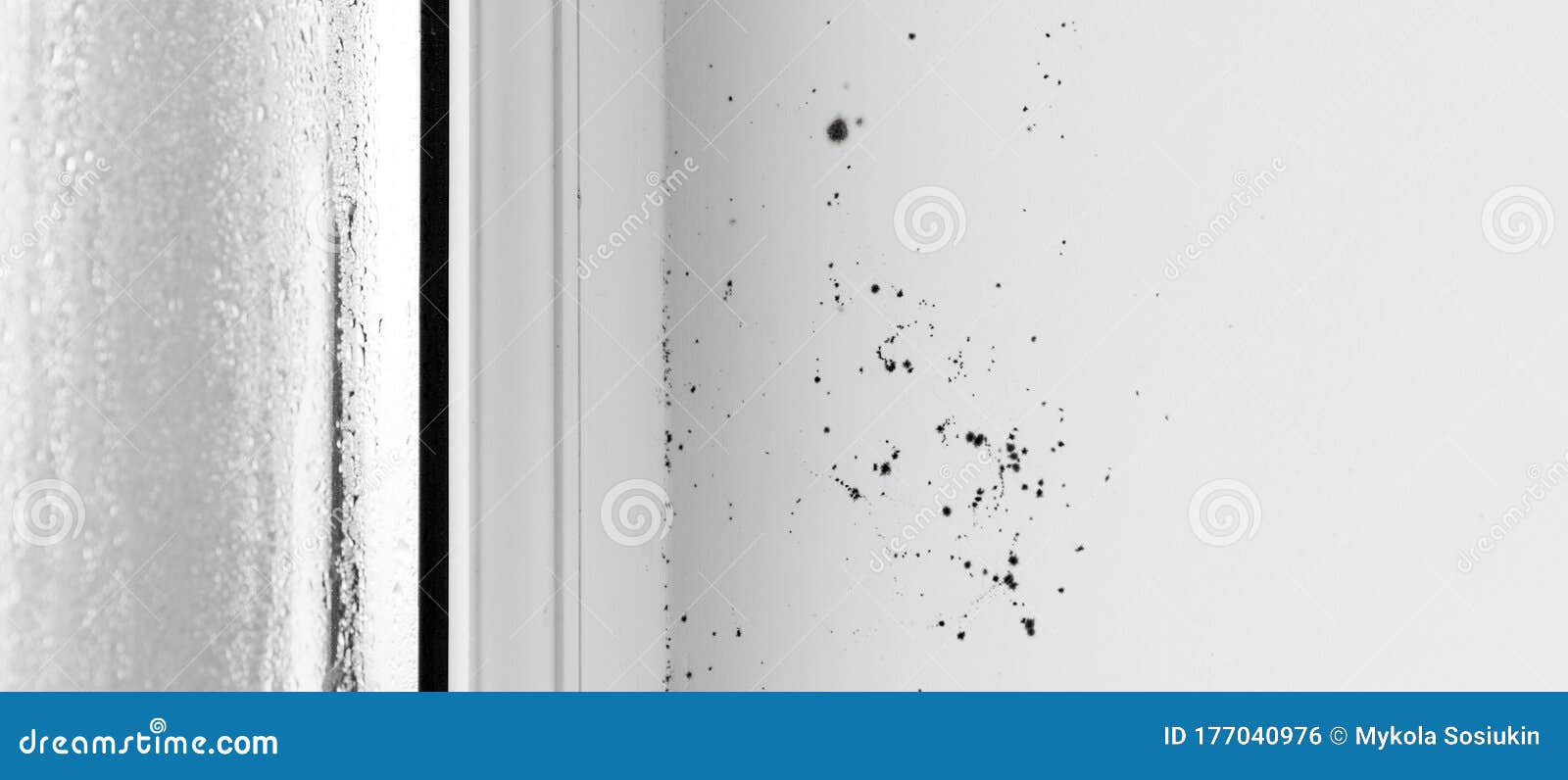 The Damp Is Attacking The Wall. Mold On Window. House Window With Damp ...