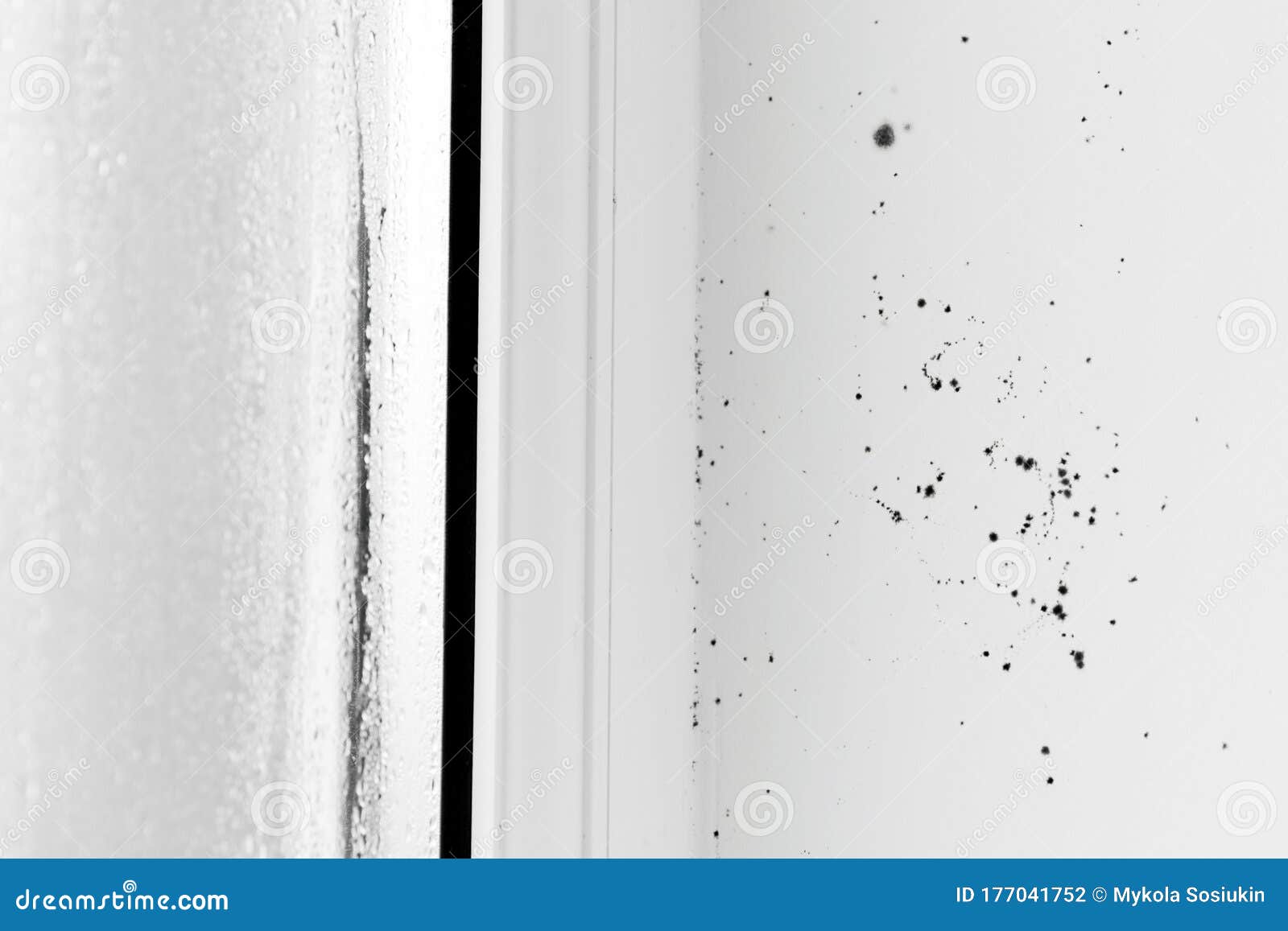The Damp Is Attacking The Wall. Mold On Window. House Window With Damp ...