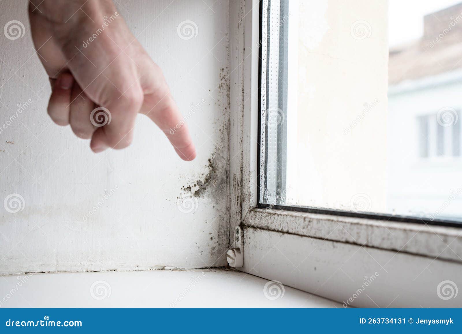 The Damp Is Attacking The Wall. Mold On Window. House Window With Damp ...
