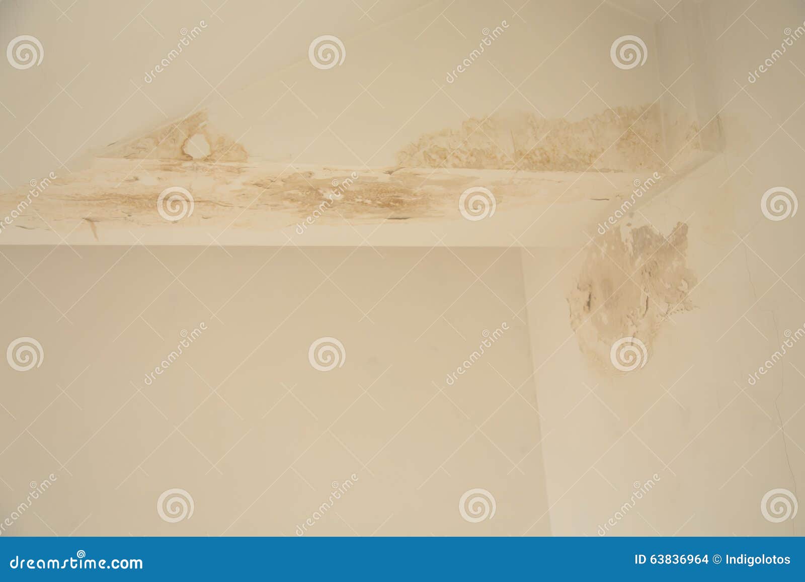 Damp falling plaster stock photo. Image of city, construction - 63836964