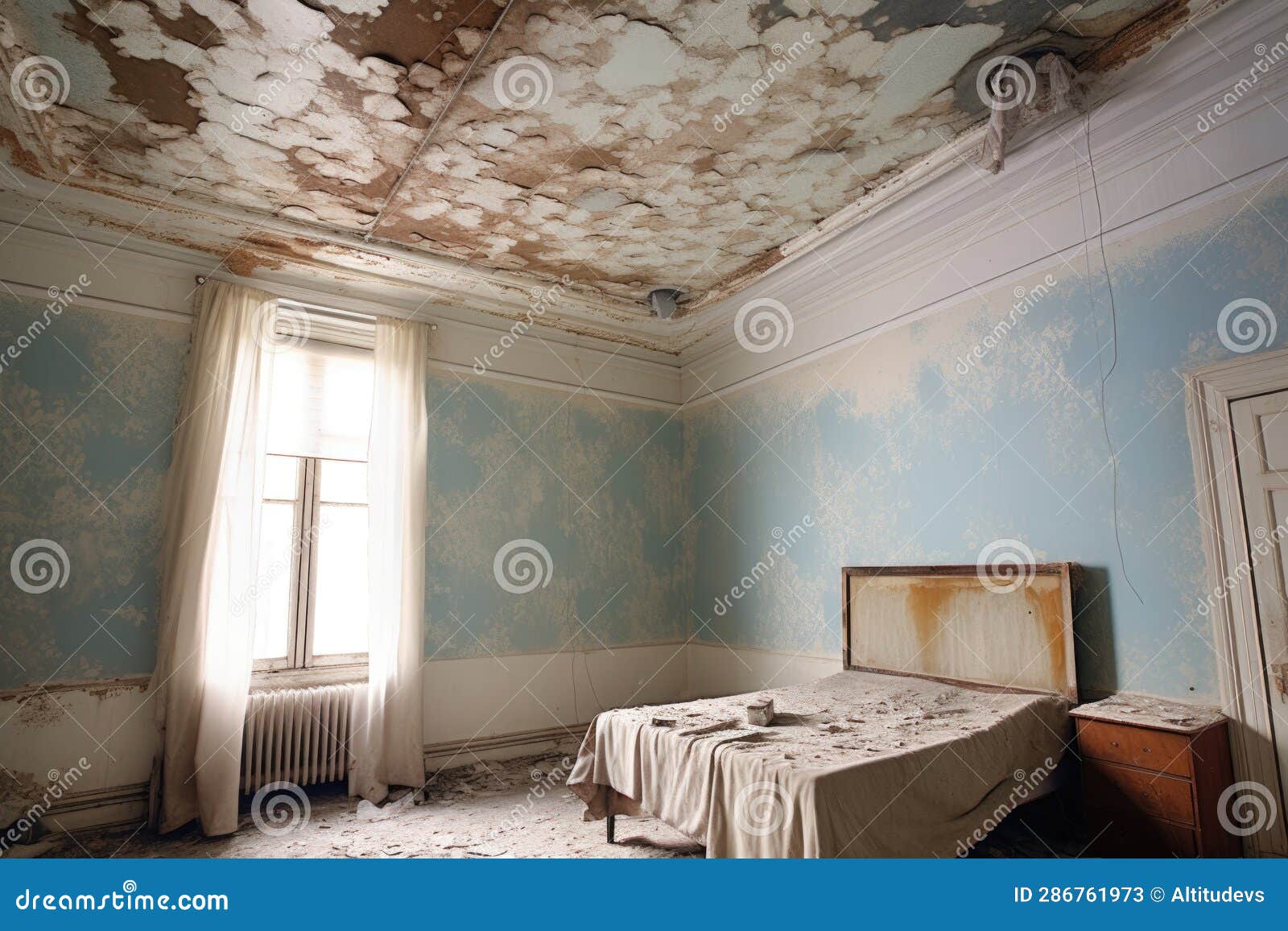 Damp Patch Spreading on Ceiling Surface Stock Image - Image of fungus ...