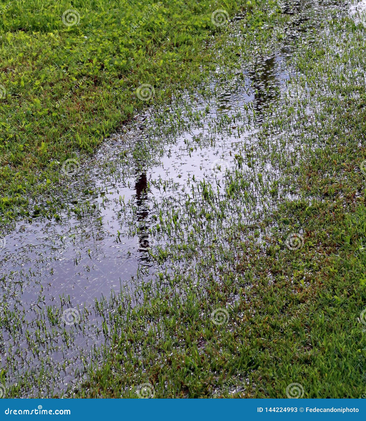 Damp Soil with Water Emerging Stock Image - Image of fountain, damp ...