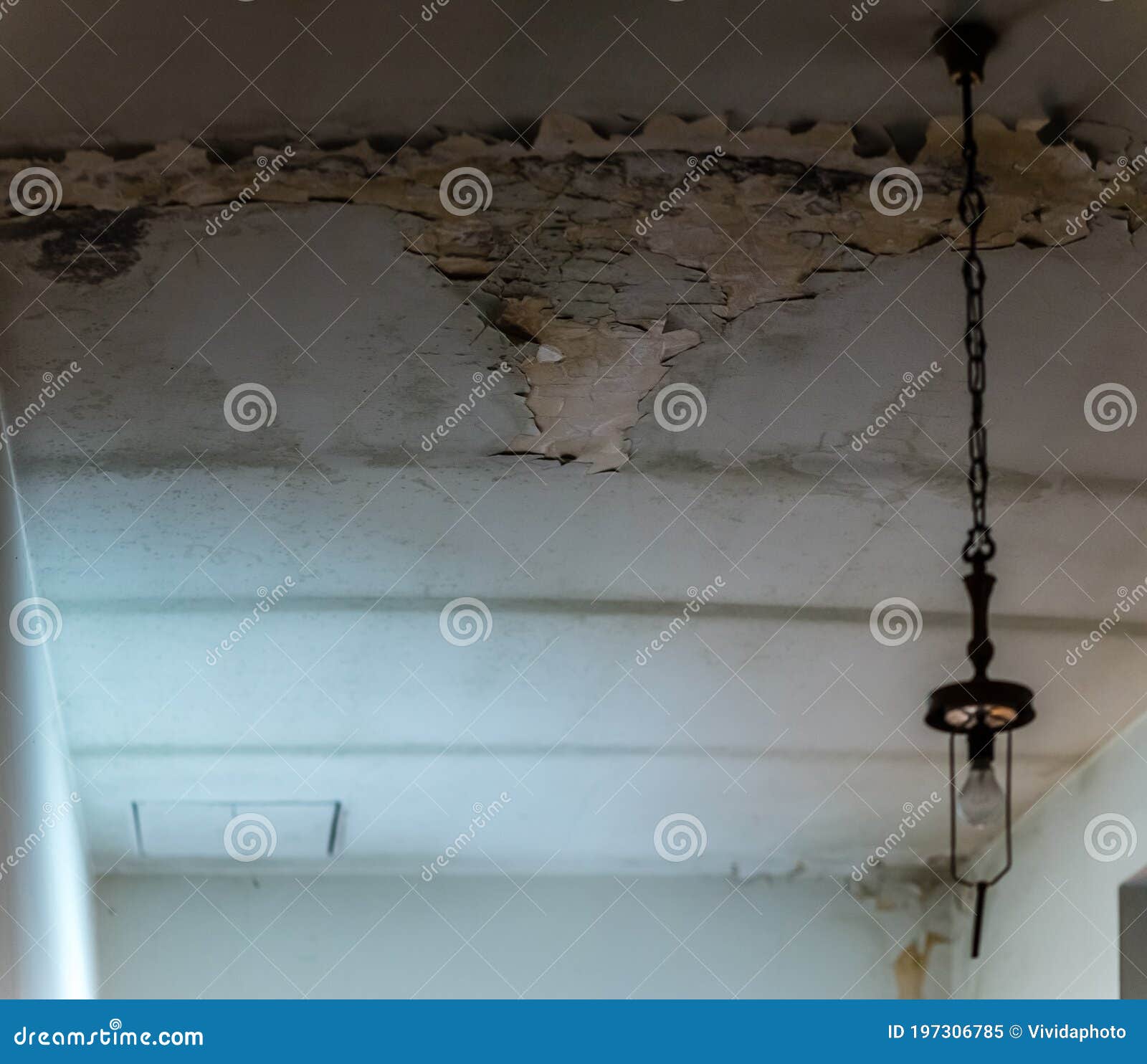 Damp Spots On A Ceiling Made Of Beton, The Paint Has Been Worn Away ...