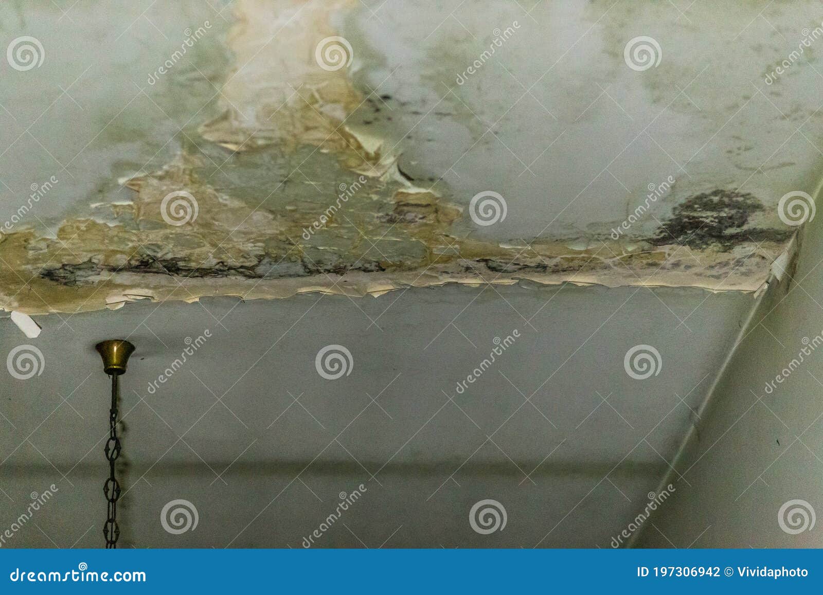 Damp Spots On A Ceiling Made Of Beton, The Paint Has Been Worn Away ...