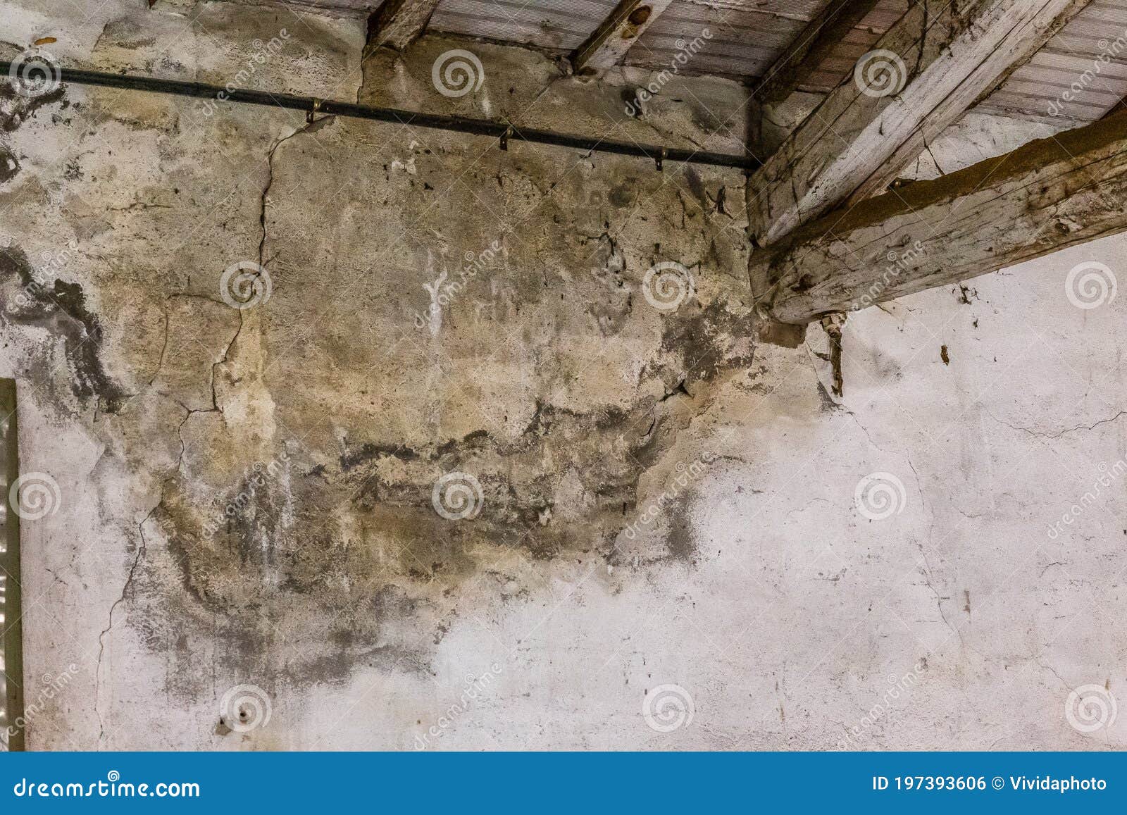 Damp spots stock photo. Image of dampness, fungal, grunge - 197393606