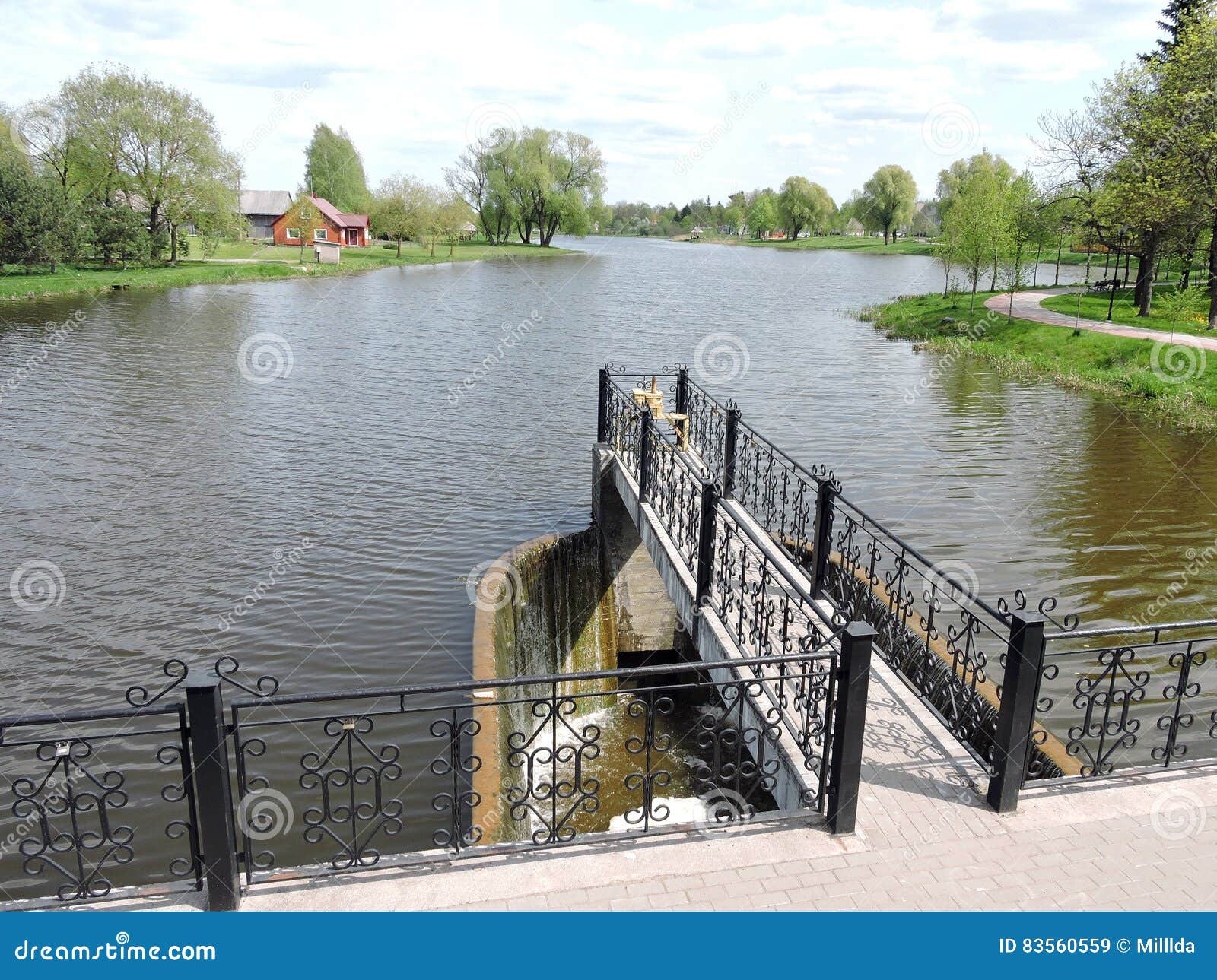 Damp in spring, Lithuania stock image. Image of green - 83560559