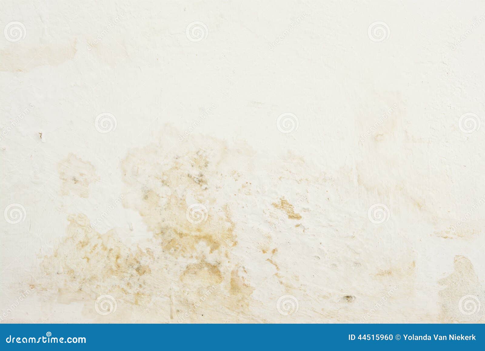 Damp Wall inside a House stock photo. Image of fungus - 44515960