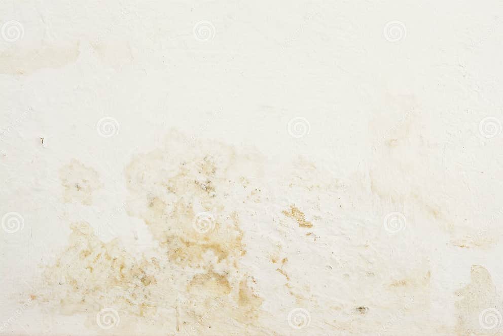 Damp Wall inside a House stock photo. Image of fungus - 44515960
