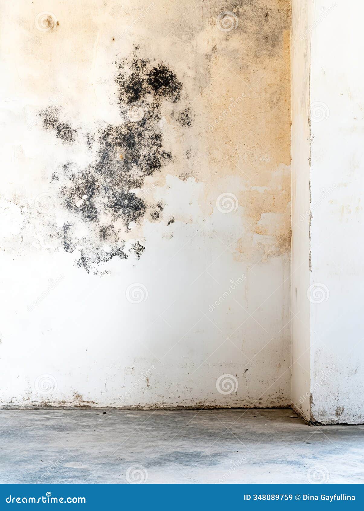 Damp Wall with Mold Growth in Empty Room Stock Illustration ...