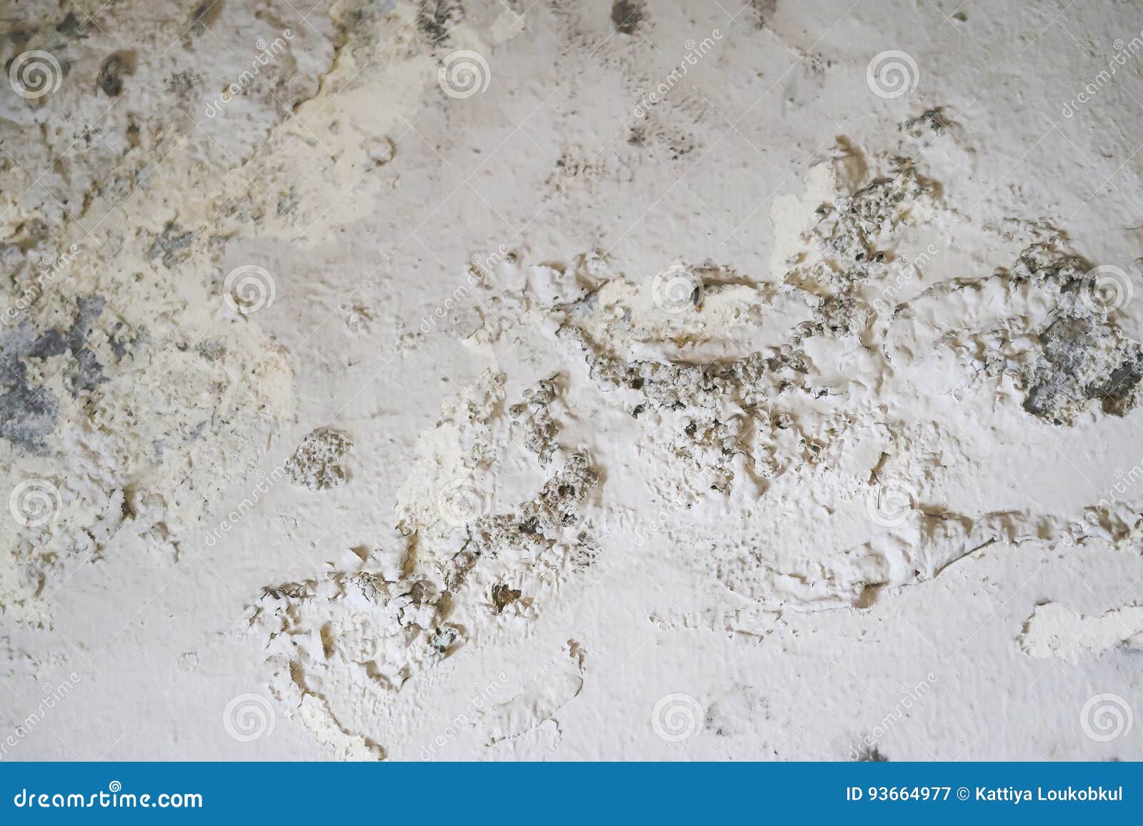 Damp Wall Texture Stock Photography | CartoonDealer.com #41051486