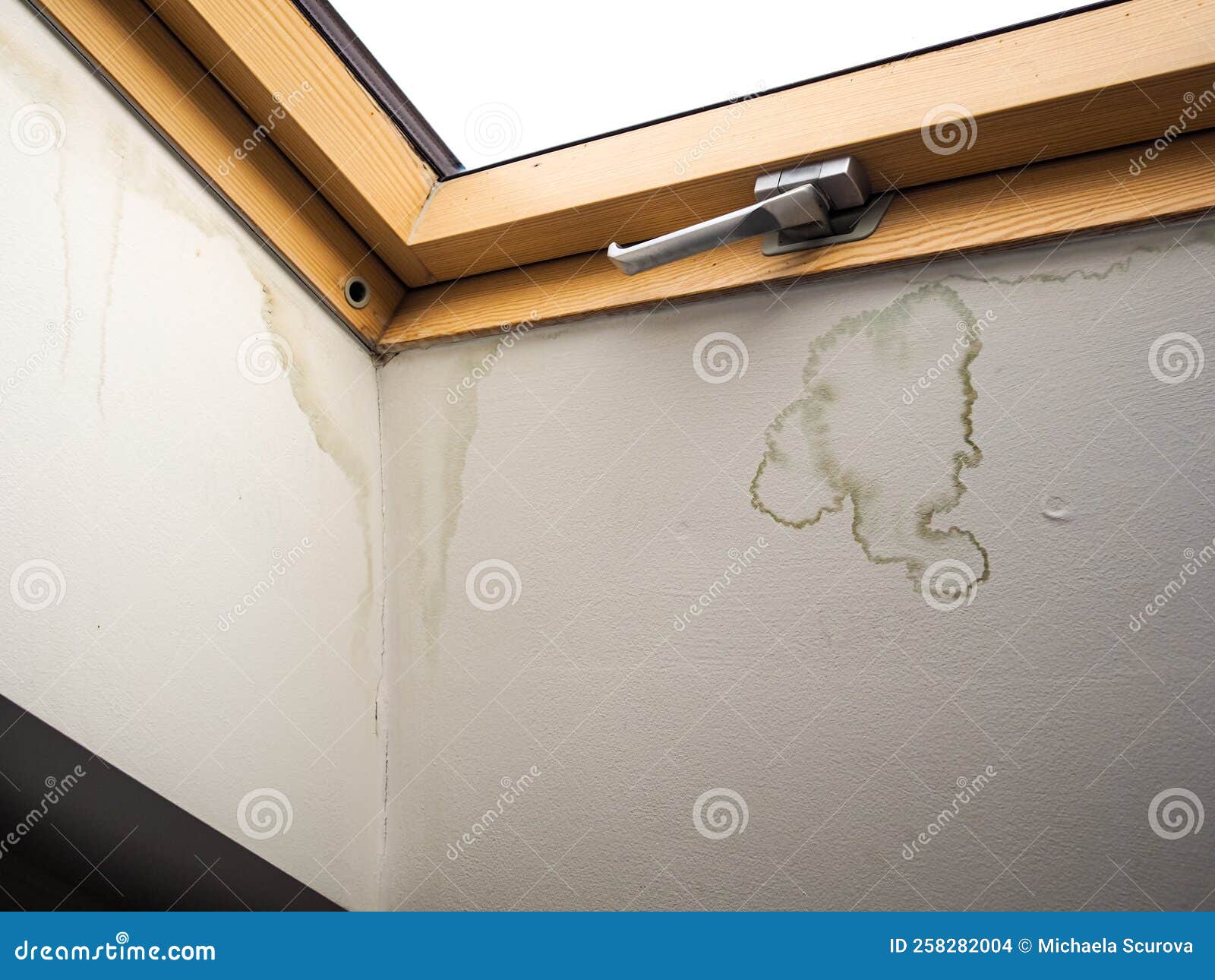 Damp Wall Under the Skylight, Mold on the Wall Stock Photo - Image of ...