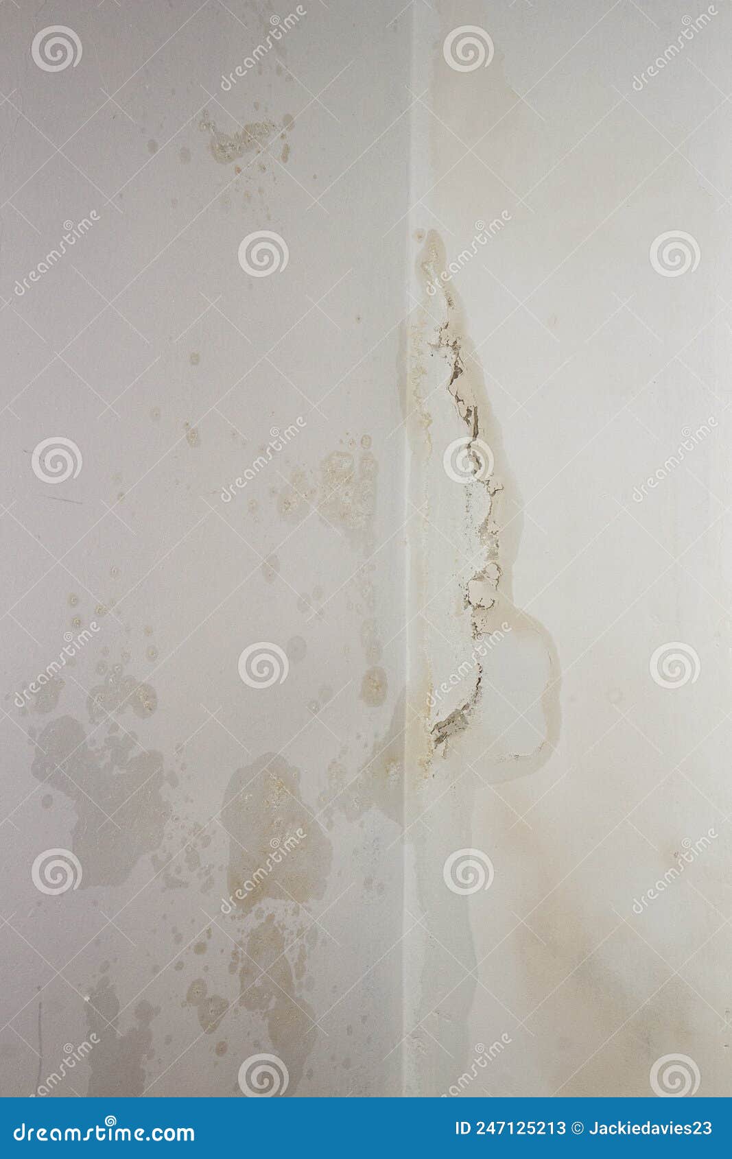 Damp and Water Ingress Coming through a House Wall Creating Problems ...