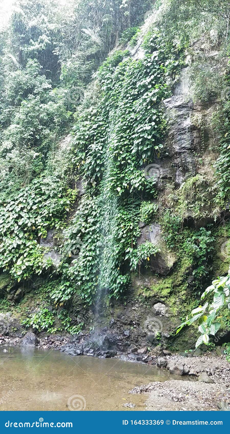 Dampalit Stock Photos - Free & Royalty-Free Stock Photos from Dreamstime