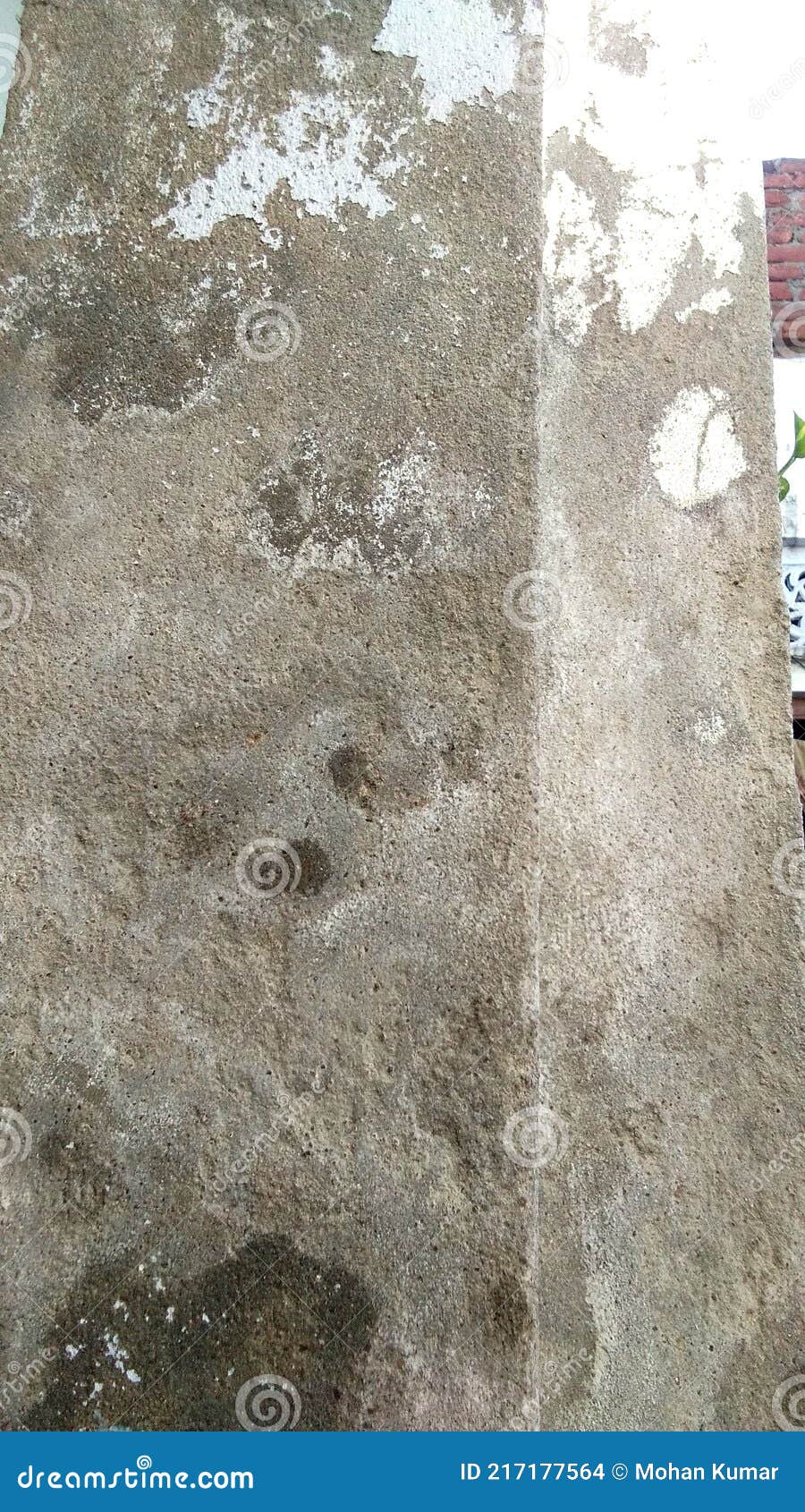 Damping Moisture House Wall Stock Photo - Image of problems, climate ...