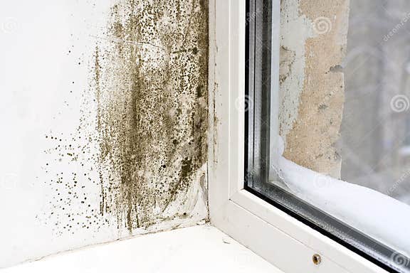 Dampness stock image. Image of corner, effect, home, moisture - 12473609