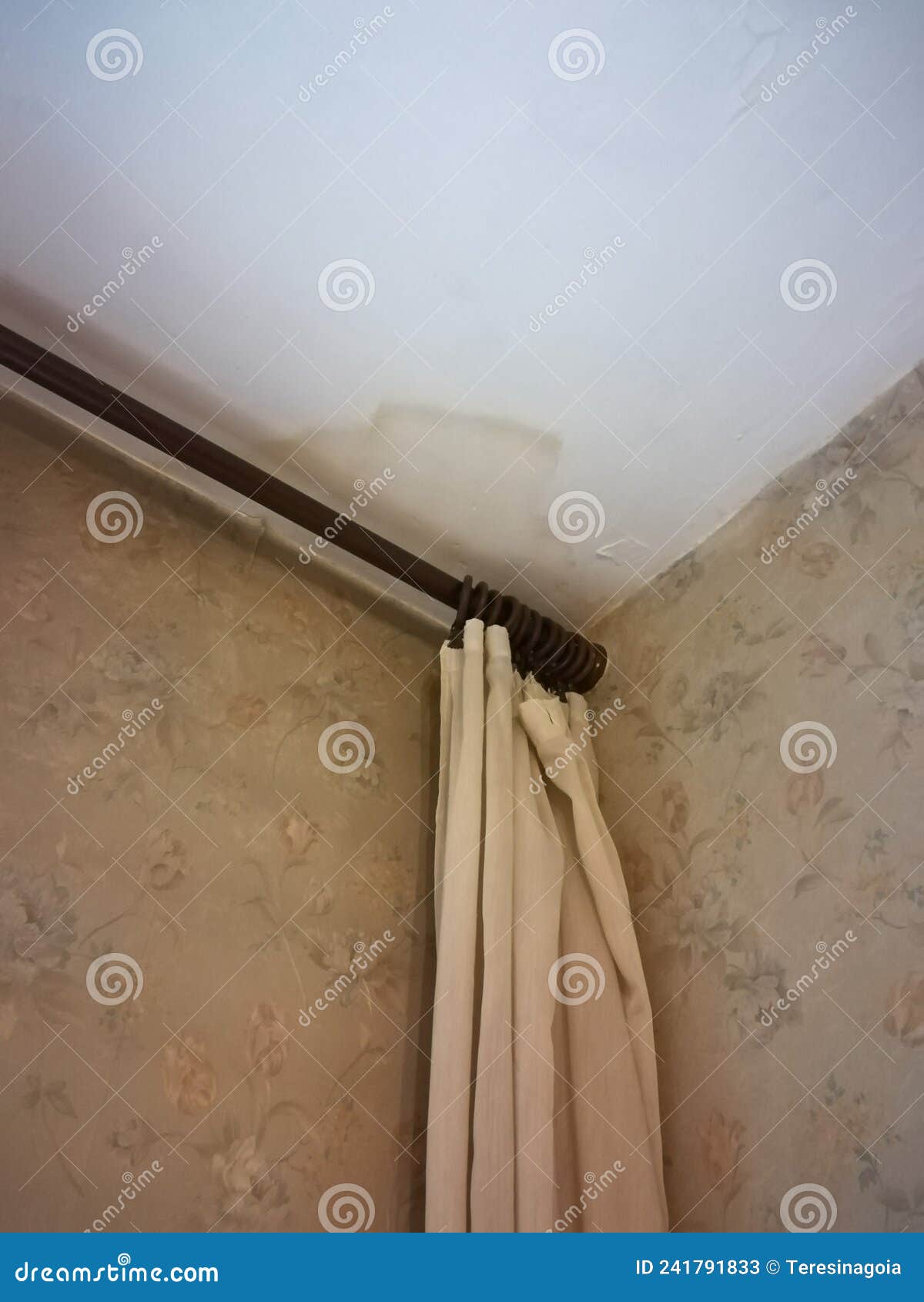 Dampness Moisture on Ceiling Stock Image - Image of mist, dampness ...