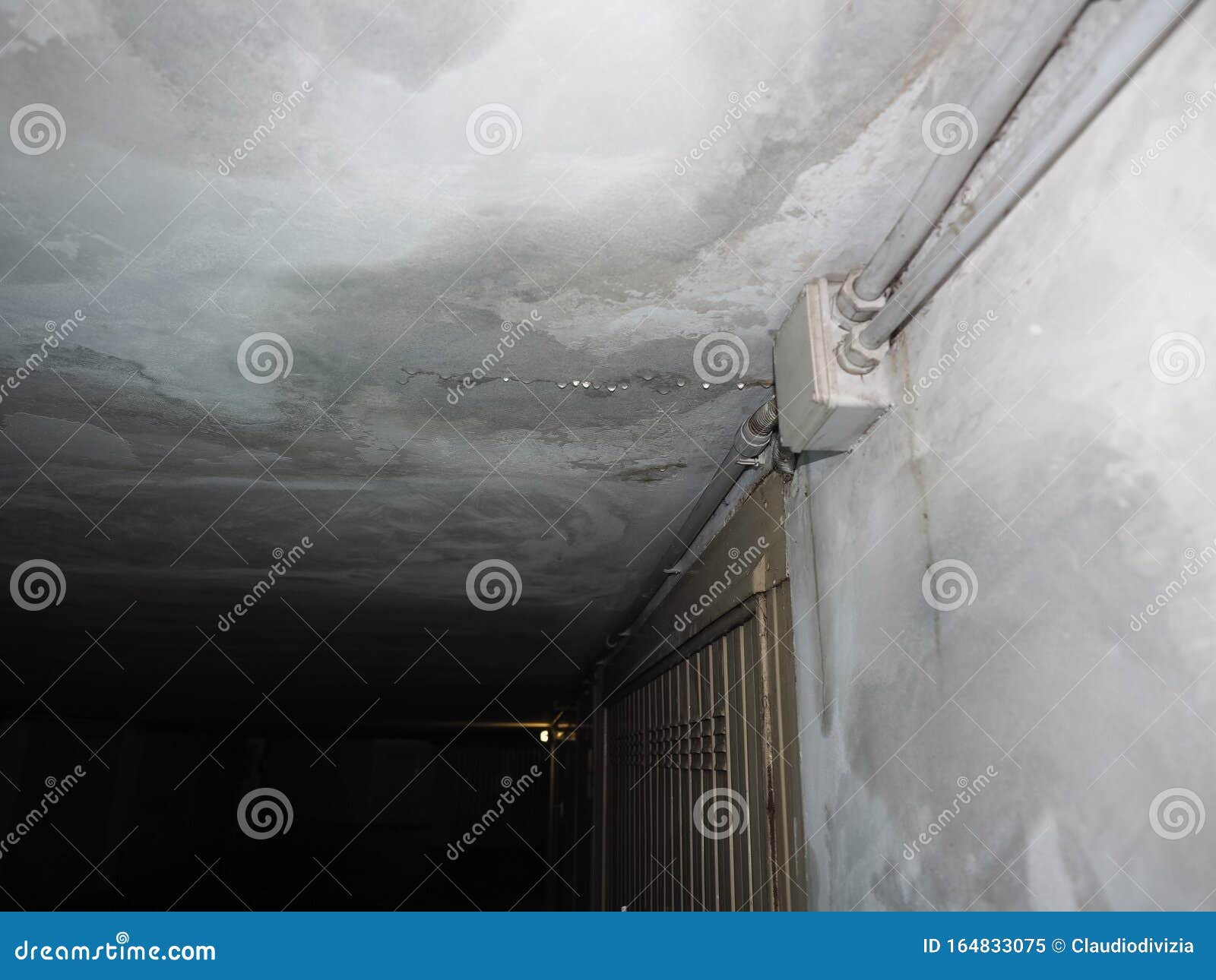 Dampness Moisture on Ceiling with Drops of Water Infiltration Stock ...