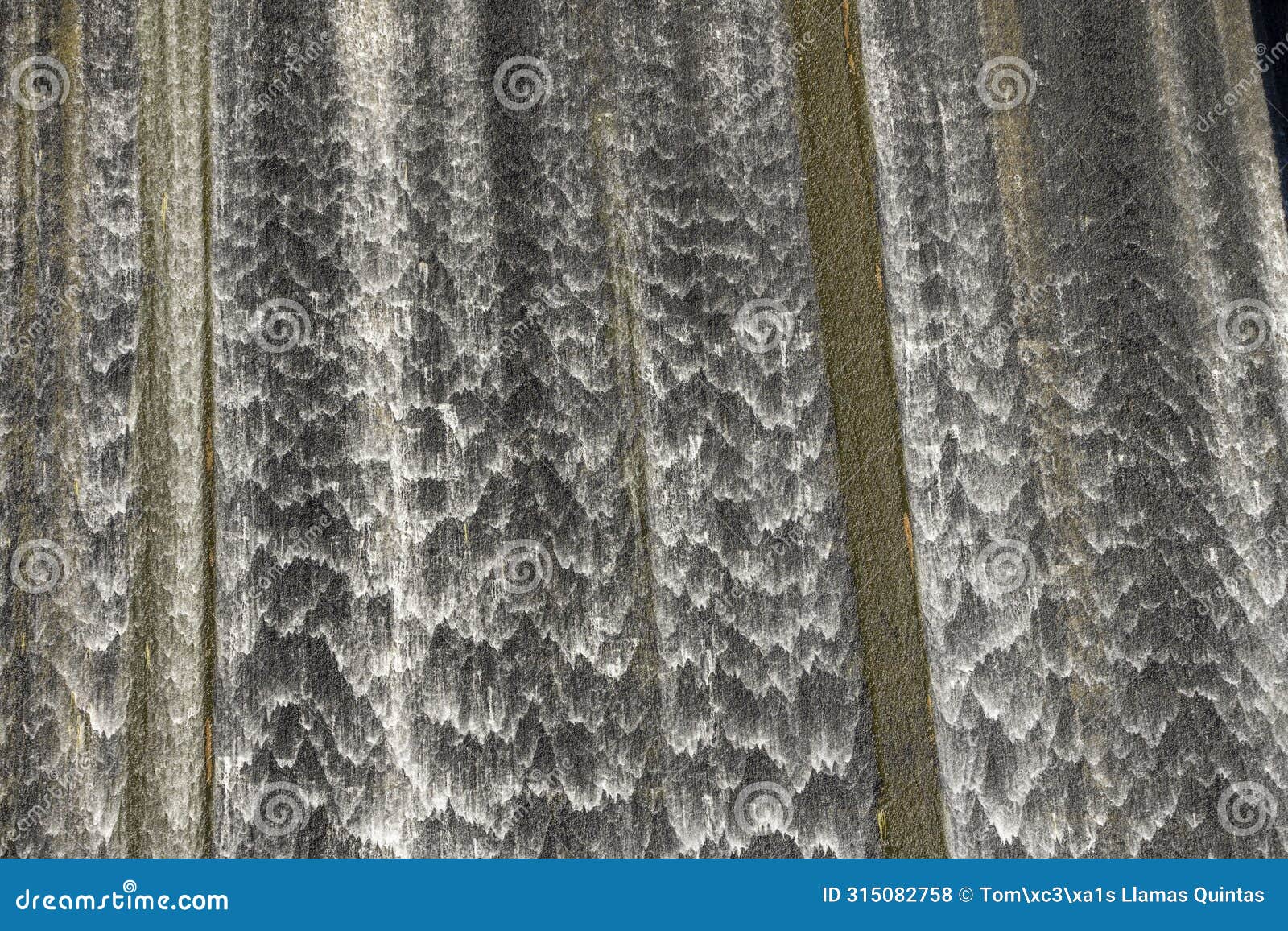 Dams Can Also Moderate or Prevent Flooding Downstream of Their Location ...