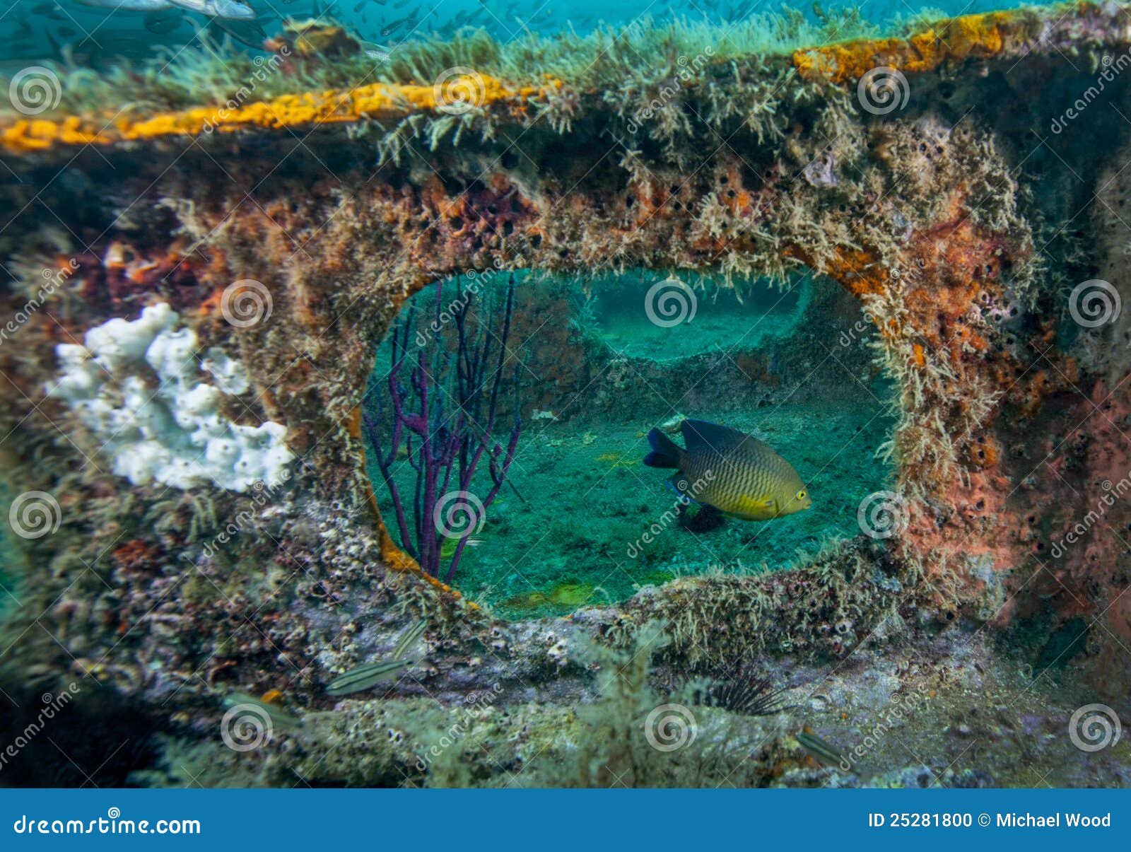 Artificial Reef Sea Defence System Royalty-Free Stock Image ...