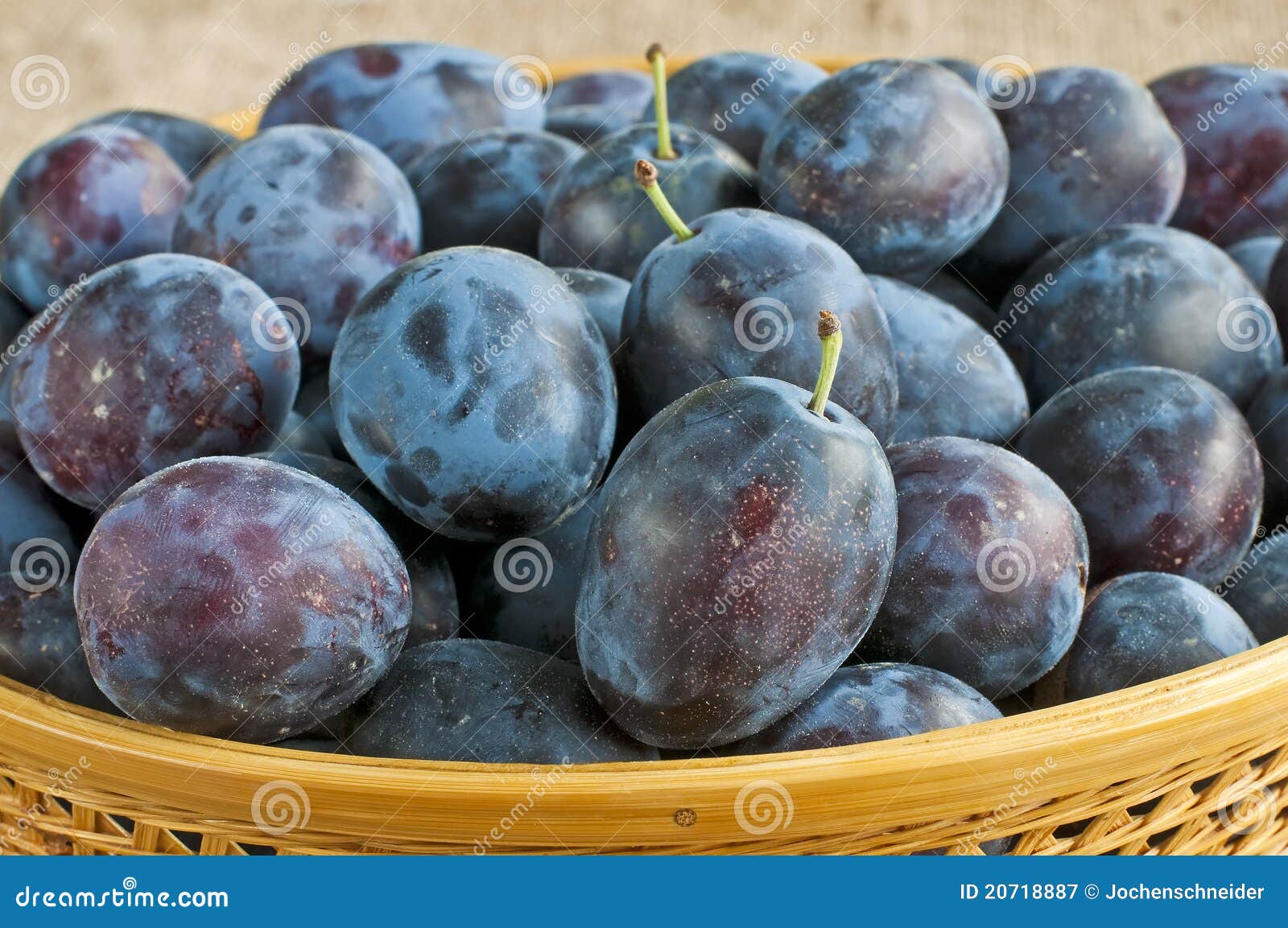 Damson stock image. Image of fruit, diet, blue, snack - 20718887
