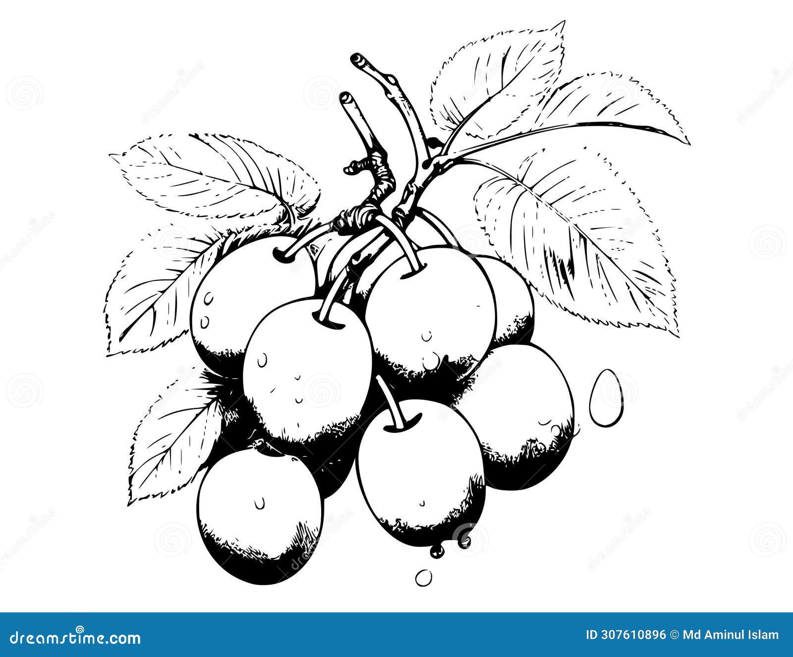 Damson Cartoons, Illustrations & Vector Stock Images - 398 Pictures to ...