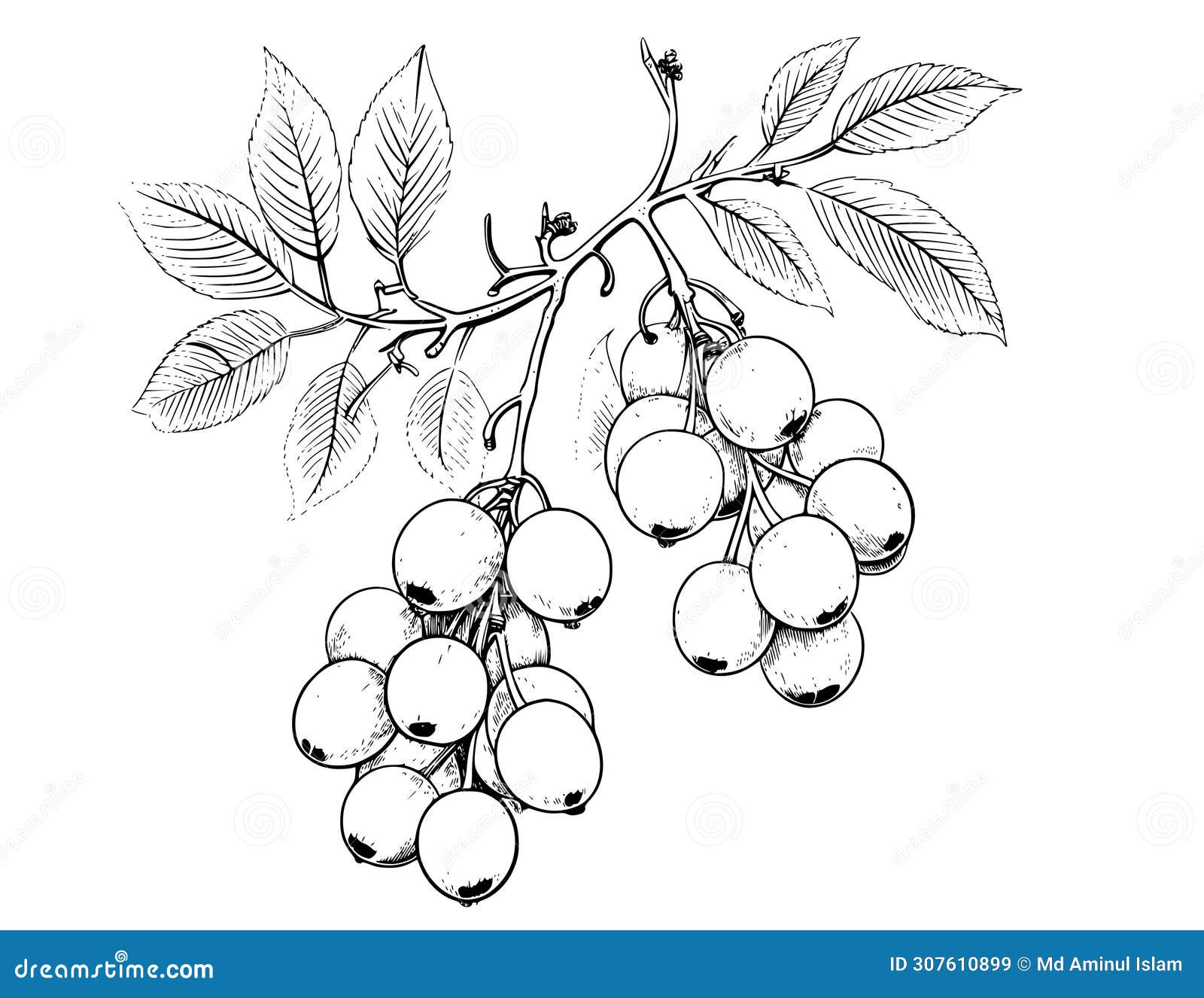 Damson Cartoons, Illustrations & Vector Stock Images - 398 Pictures to ...
