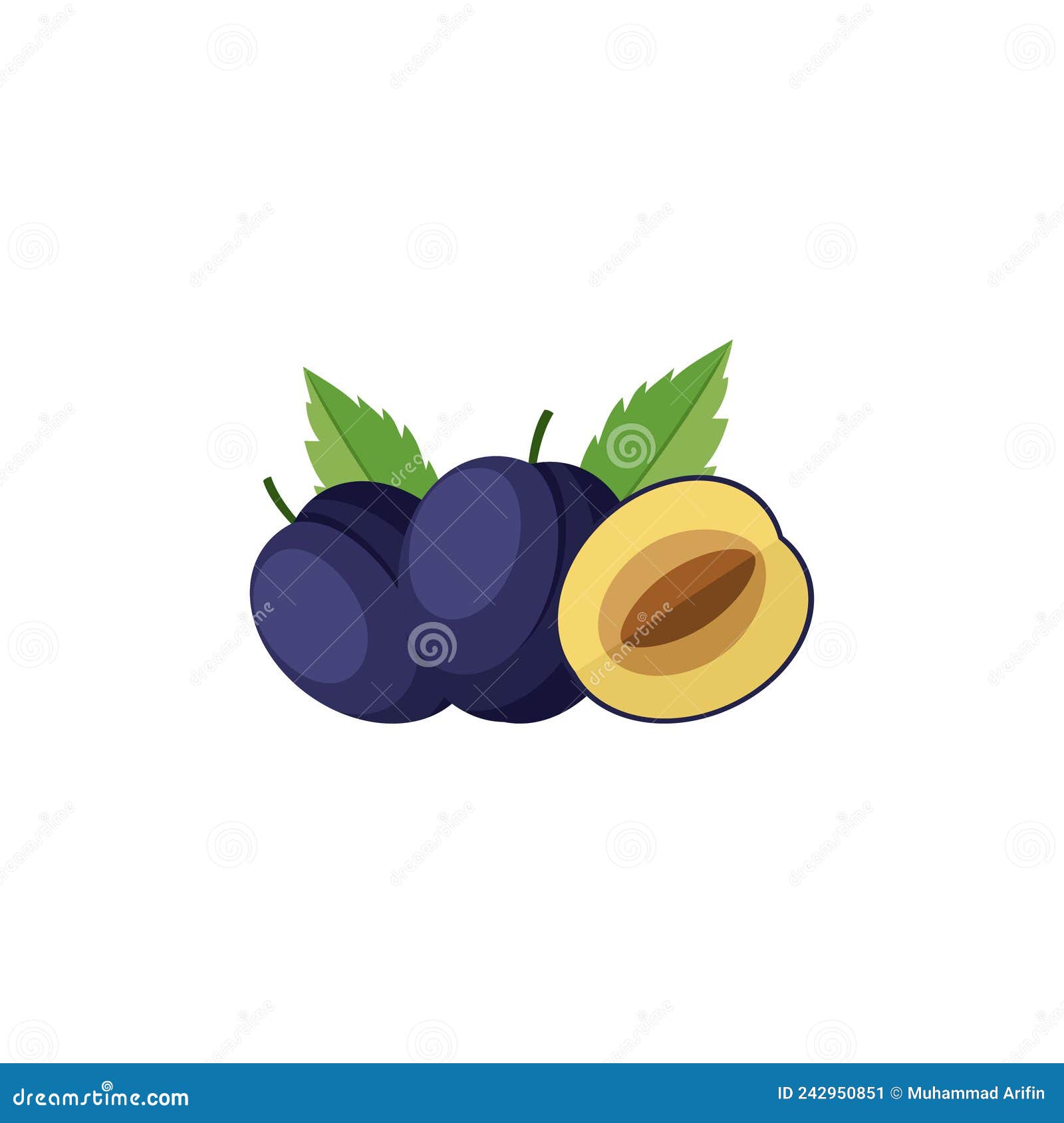 Damson Illustration For Coloring Book Template, Damson For Kids ...