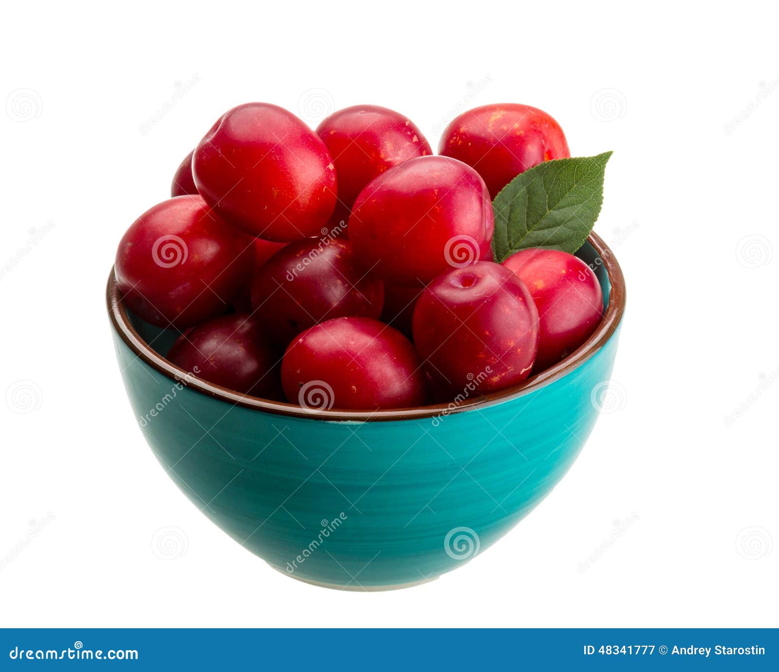 Damson plum stock image. Image of serbia, damsons, freshness - 48341777