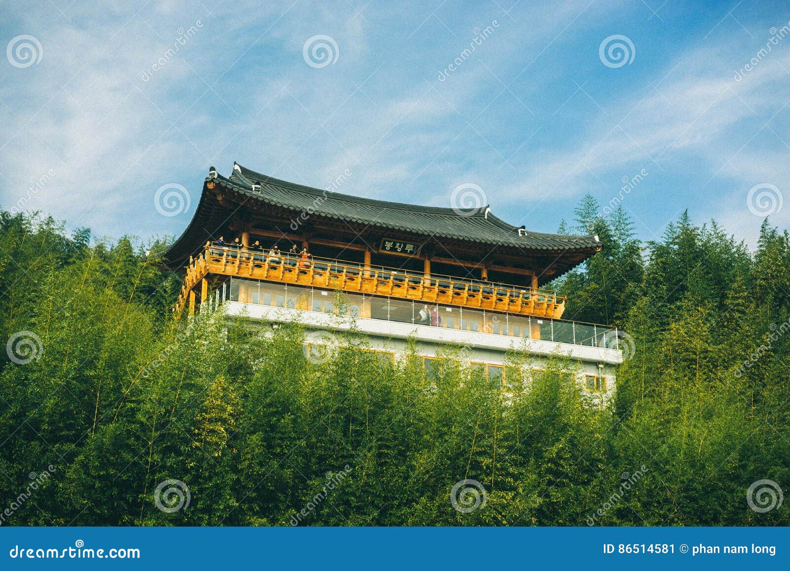 Damyang - the Bamboo Forest Stock Image - Image of tradition, damyang ...