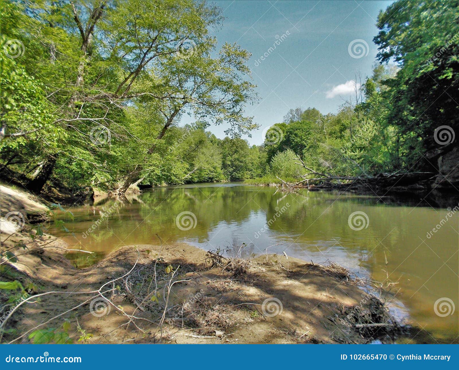 Dan River stock photo. Image of rocks, flow, rocky, carolina - 102665470