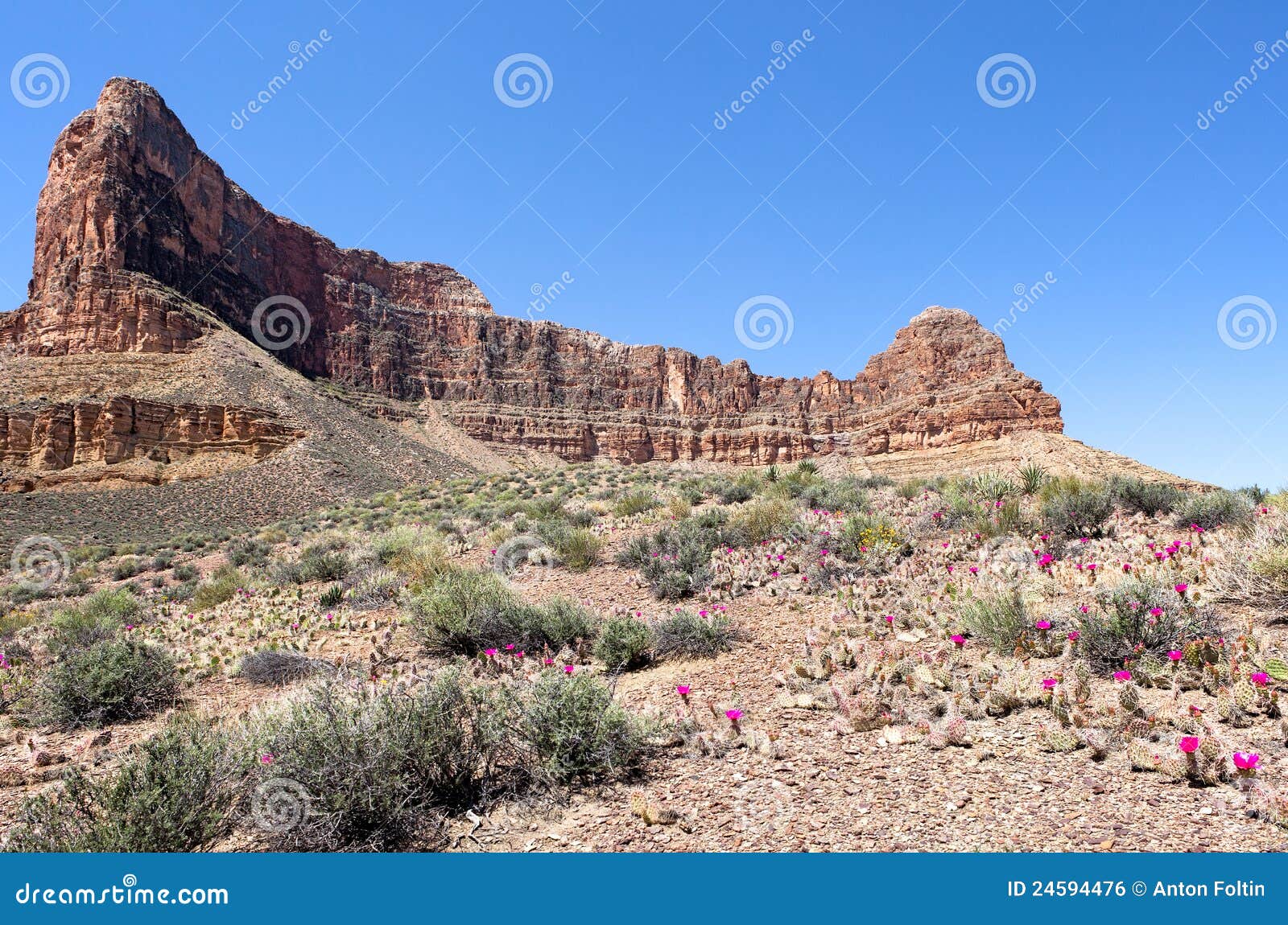 Dana Butte stock photo. Image of pear, trail, geology - 24594476