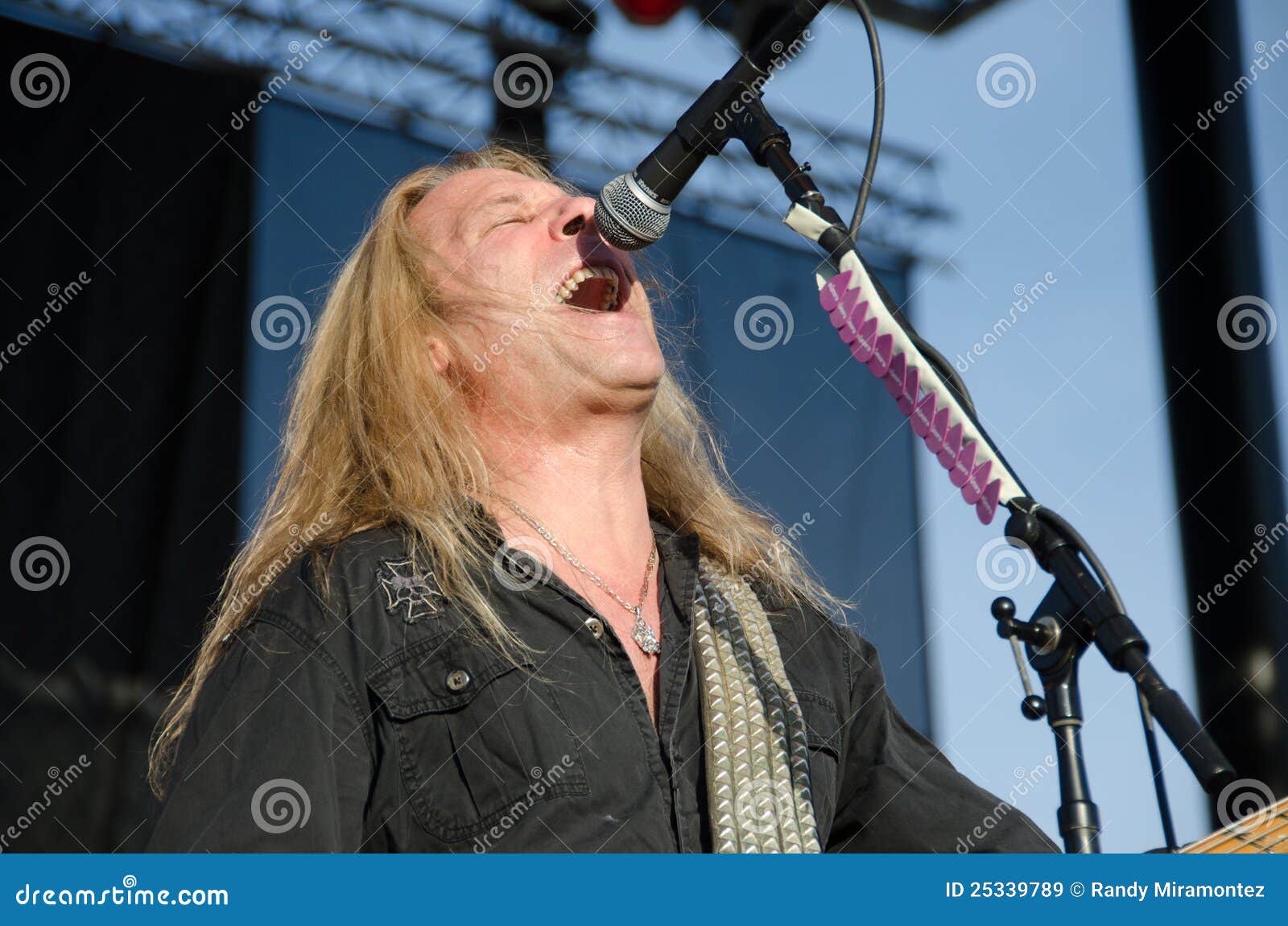 Dana Strum editorial stock image. Image of dana, michaels - 25339789