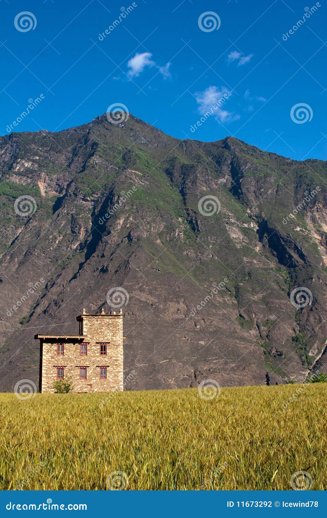 Danba stock photo. Image of beautiful, mountain, plants - 11673292