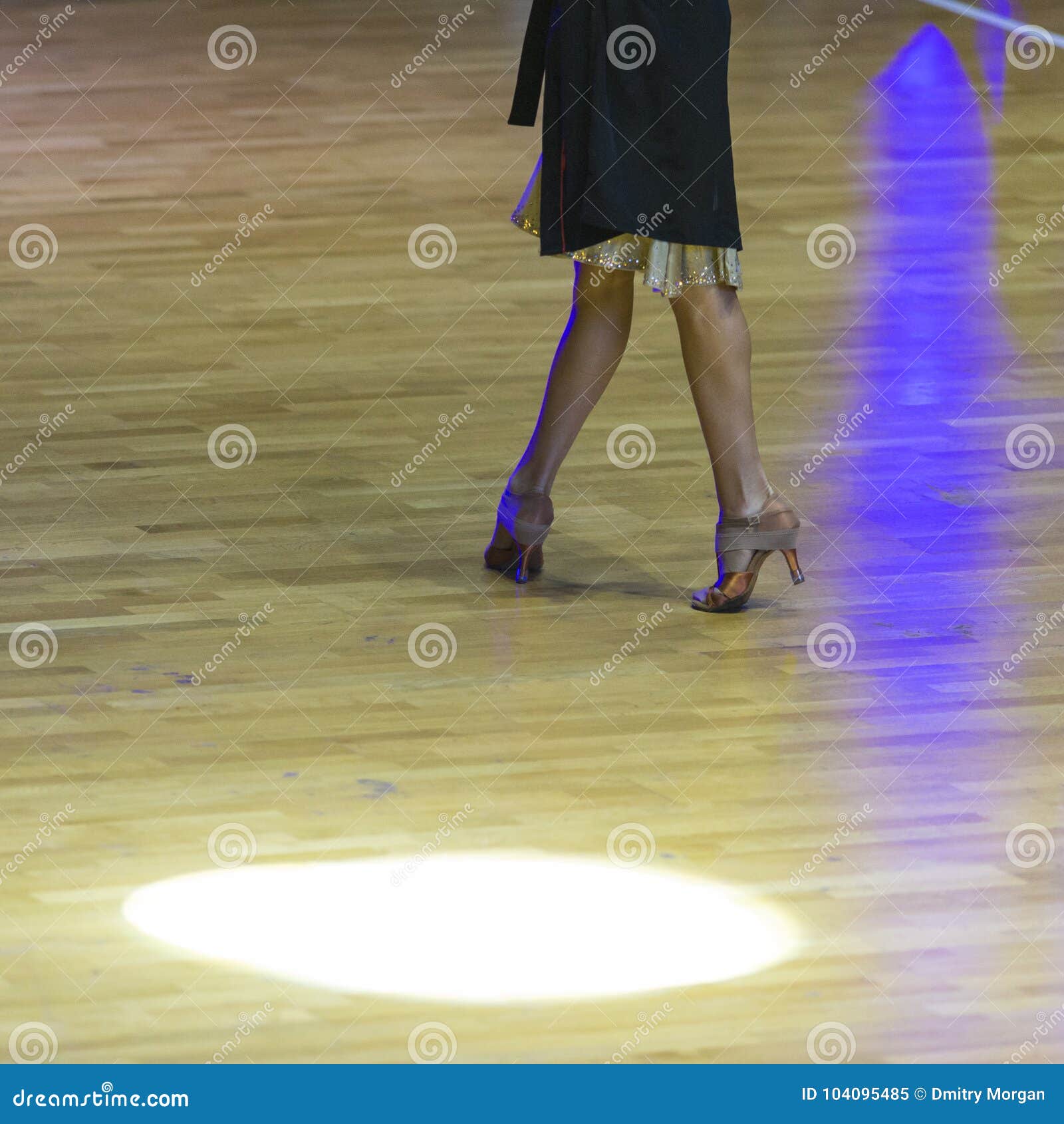 Dance Concepts. Closeup of the Legs of Professional Female Dancer Stock ...