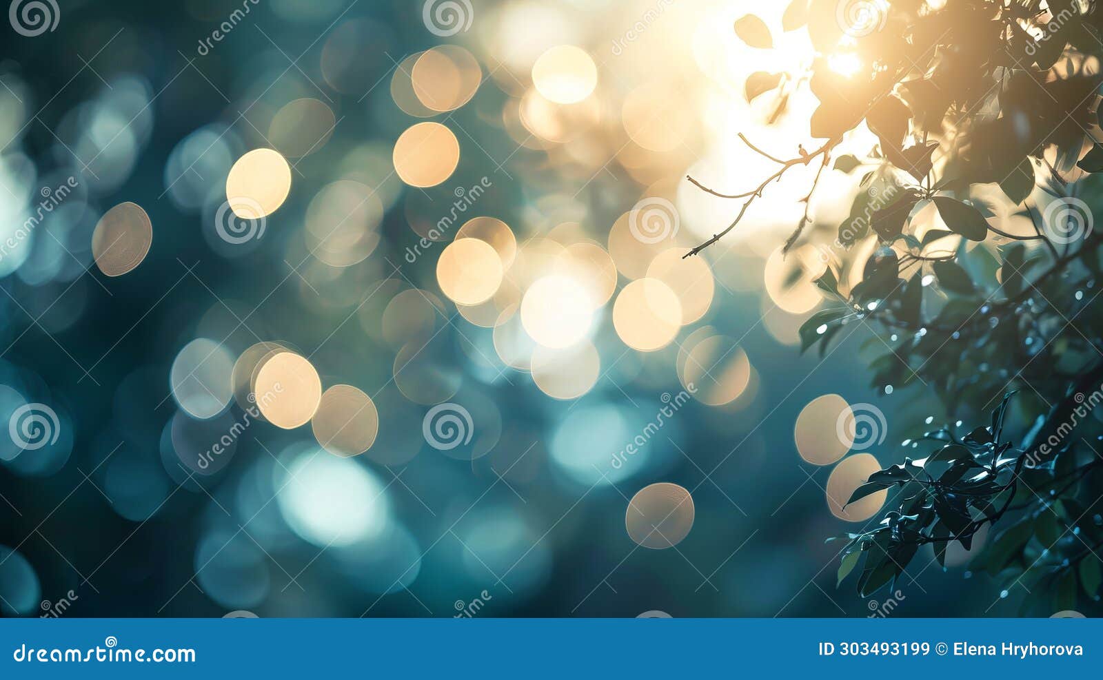 A Dance of Diffused Lights Offers a Gentle, Calming Visual Experience ...