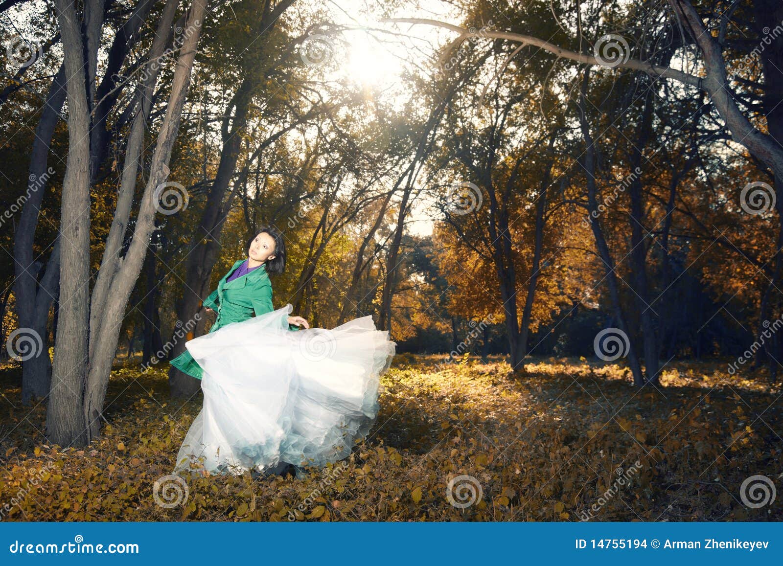 Dance in the golden forest stock photo. Image of fashion - 14755194