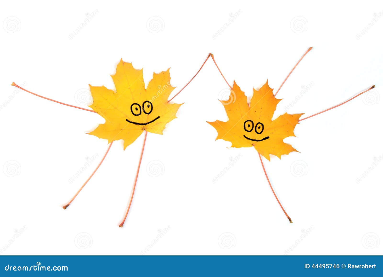 Dance leaves stock photo. Image of slim, couple, smile - 44495746