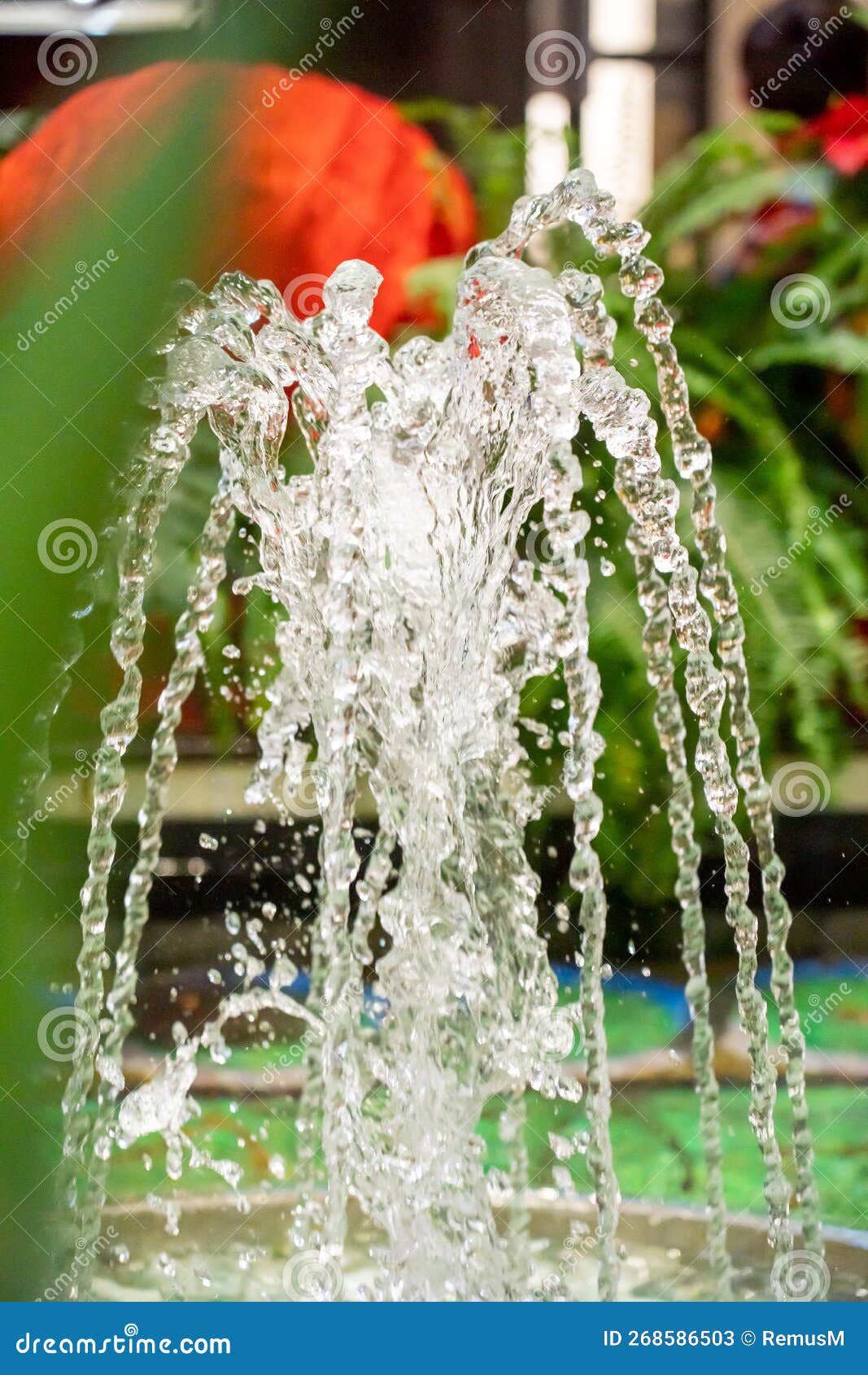 The Dance of Spring Water in the Jungle. Stock Image - Image of ...