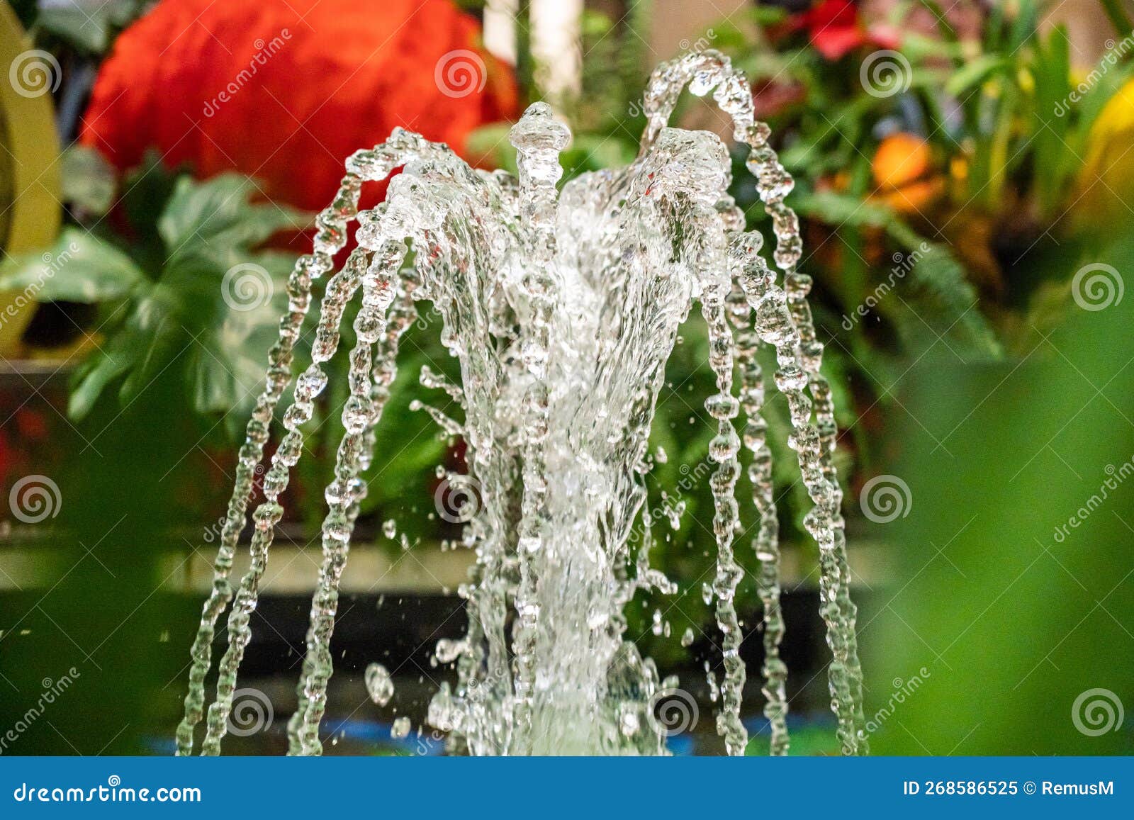 The Dance of Spring Water in the Jungle. Stock Image - Image of soup ...