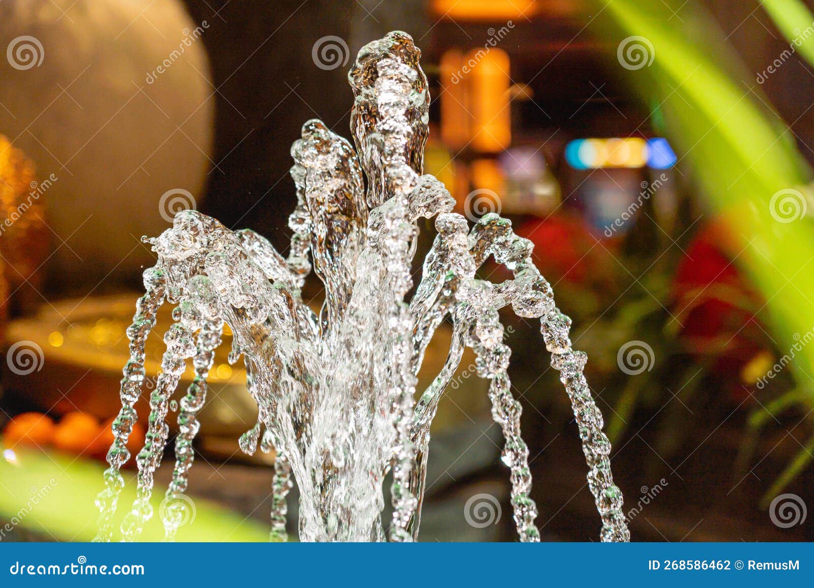 The Dance of Spring Water in the Jungle. Stock Photo - Image of ...