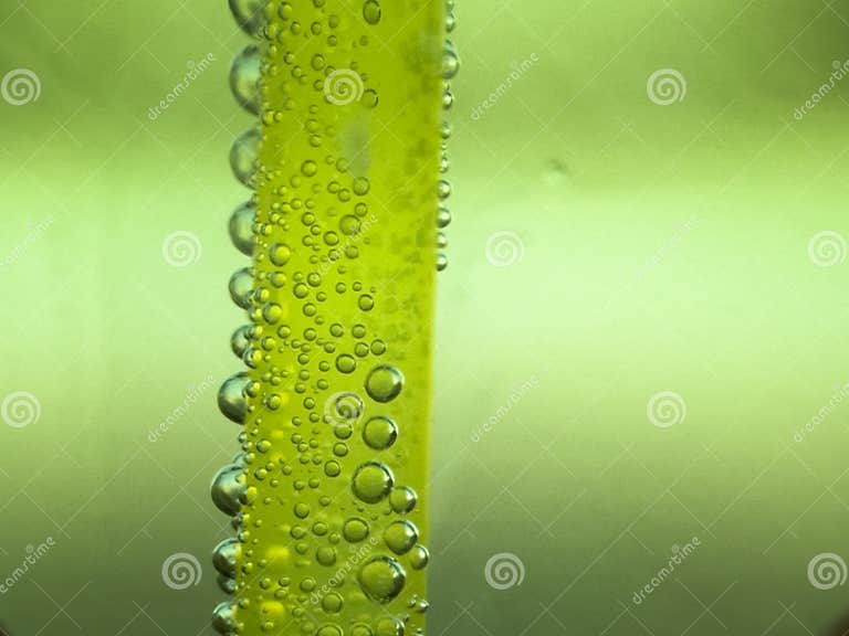 Dance of Straws and Bubbles in Soda Bottle Stock Image - Image of carbon, bubbles: 298682141