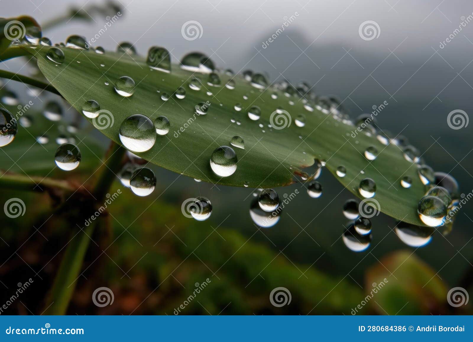 The Dance of Water: Merging Droplets in Misty Veils. Generative AI ...