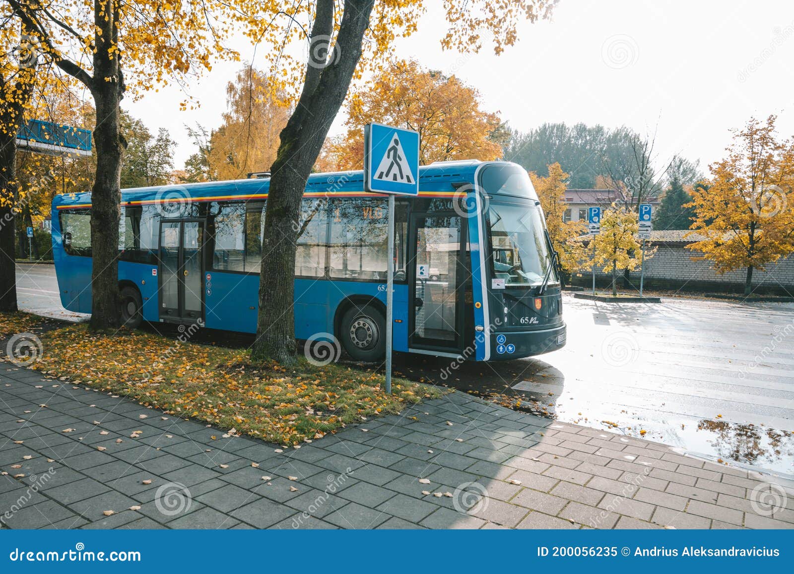 Dancer Bus in Klaipeda, Lithuania Editorial Image - Image of green ...