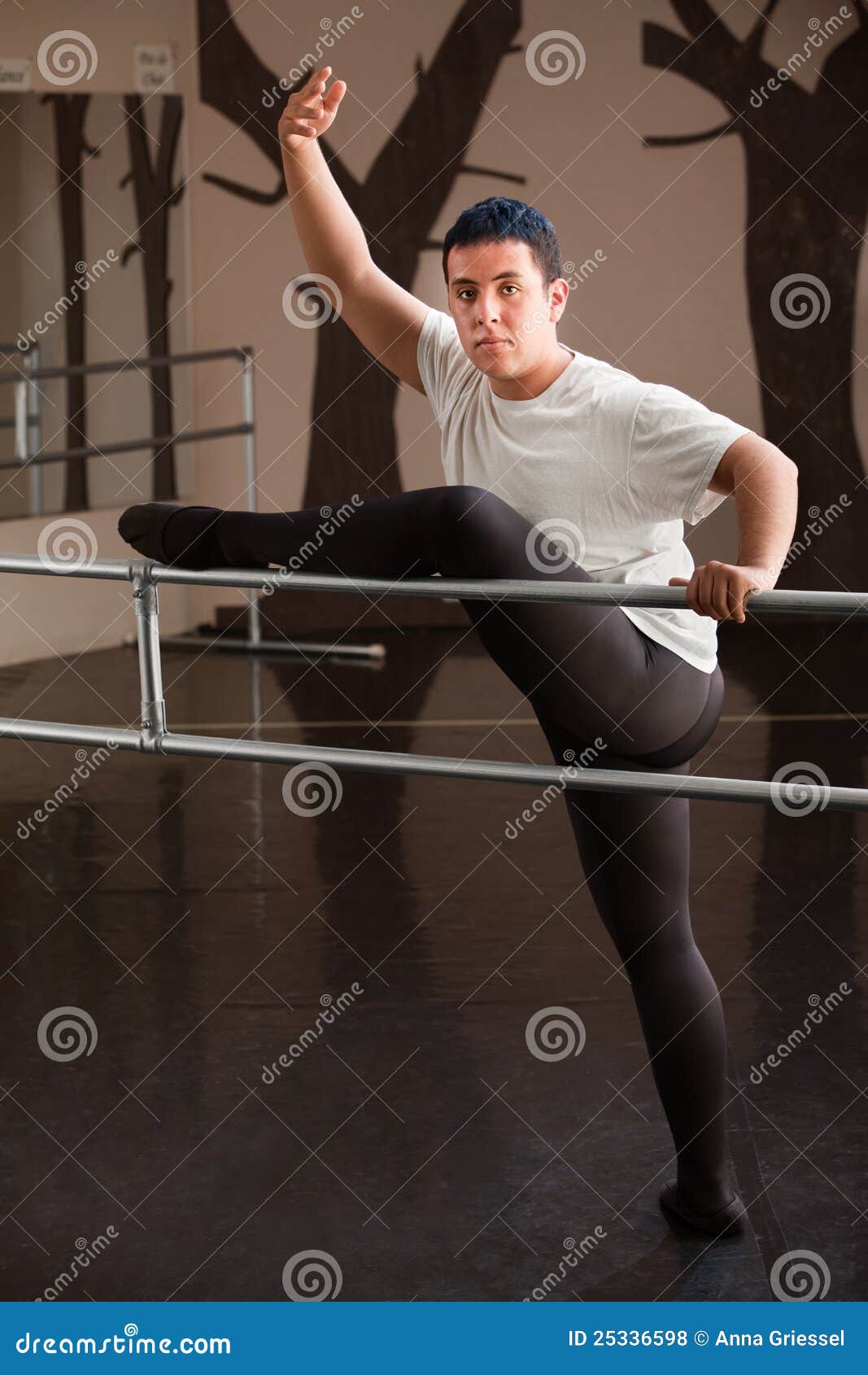 Dancer Poses on Railing stock photo. Image of adult, ballet - 25336598