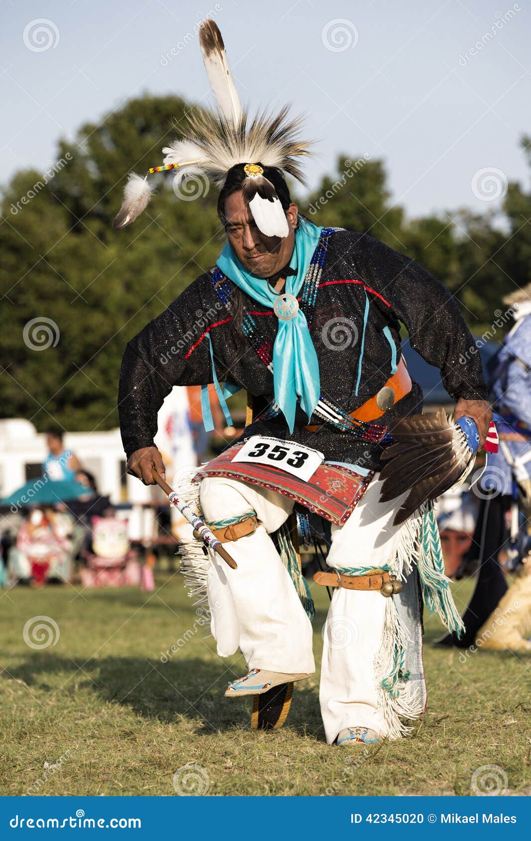 Dances With Wolves Indians