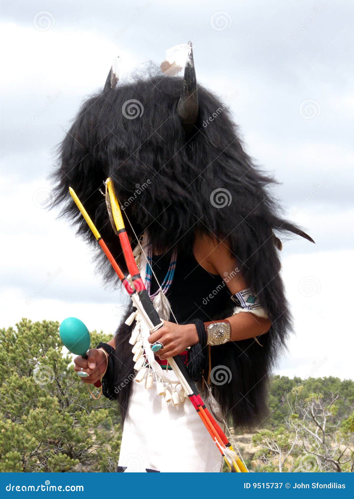 Dancing Buffalo stock image. Image of beads, indian, ceremony - 9515737