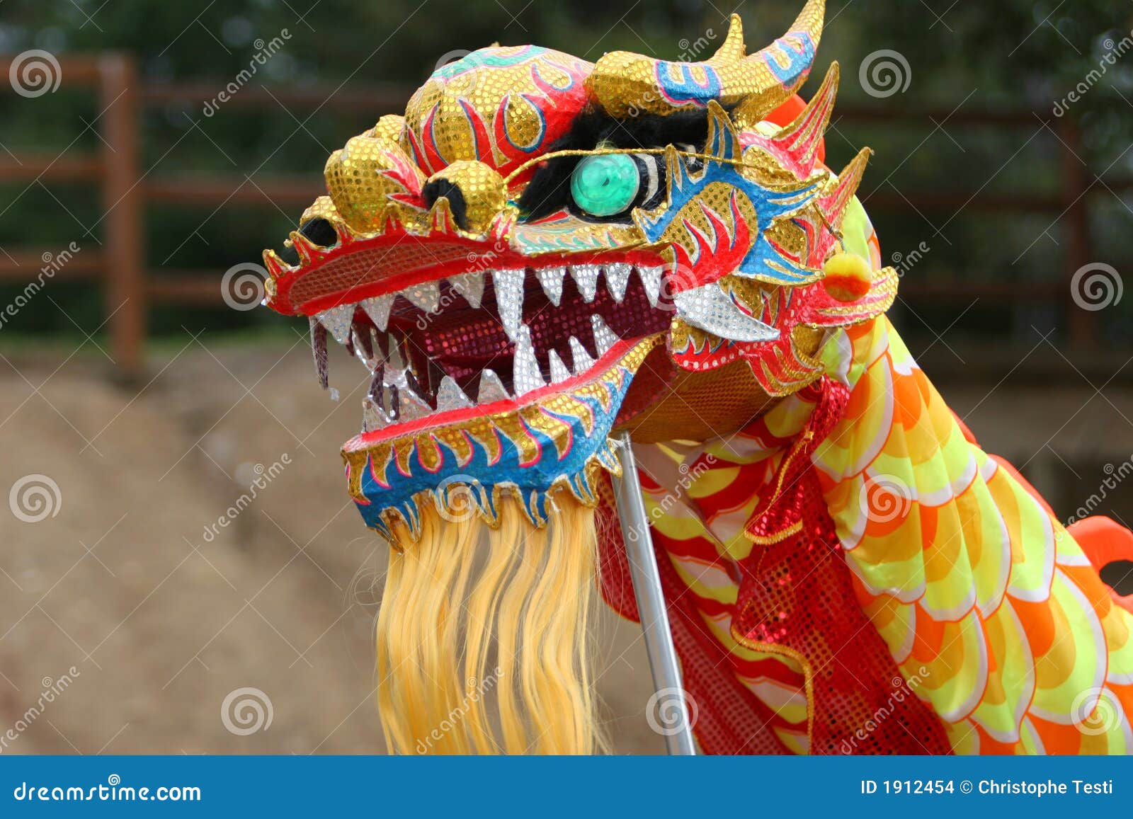 Dancing Dragon stock photo. Image of dragon, diversity - 1912454
